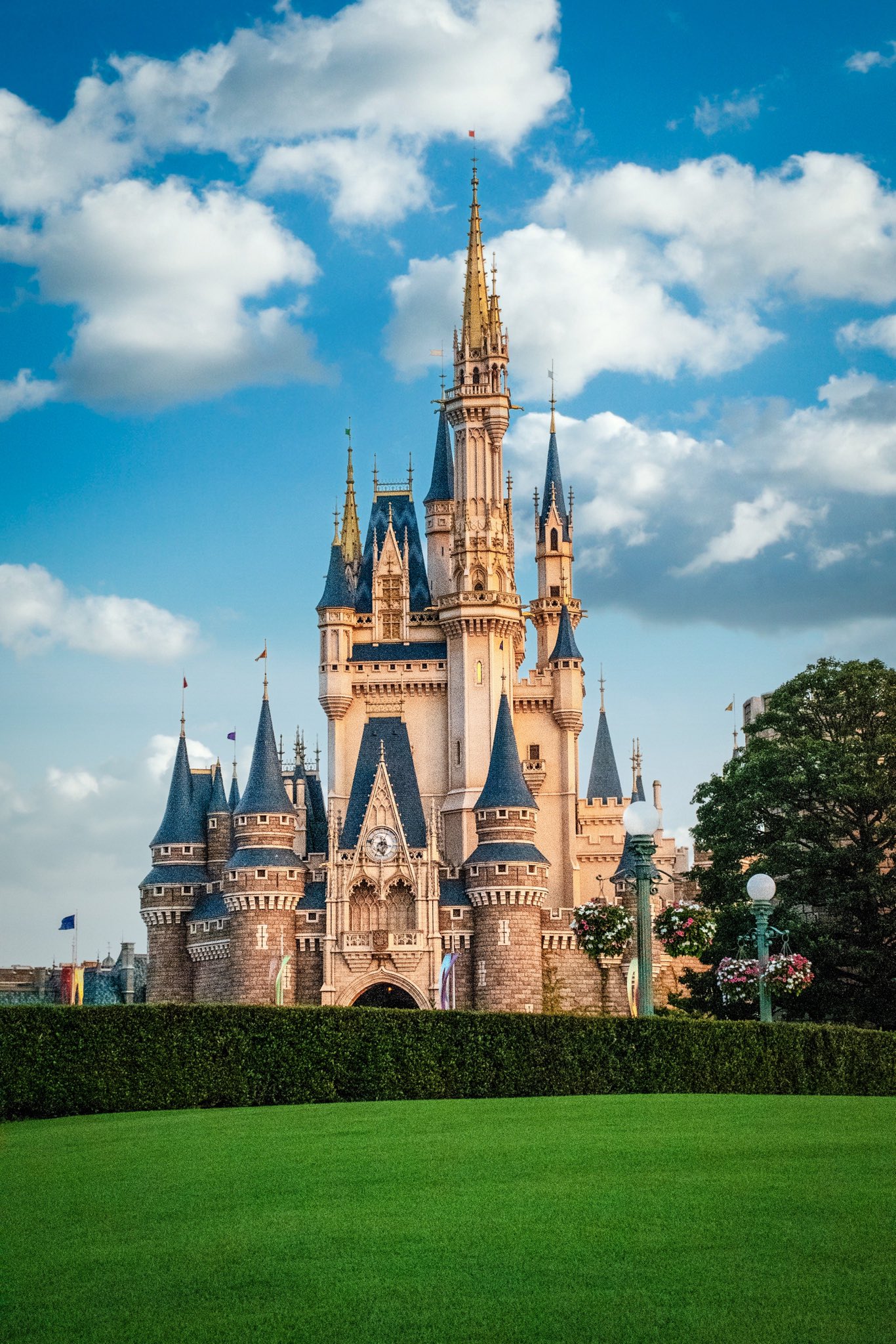 Disney Castle Iphone Wallpaper