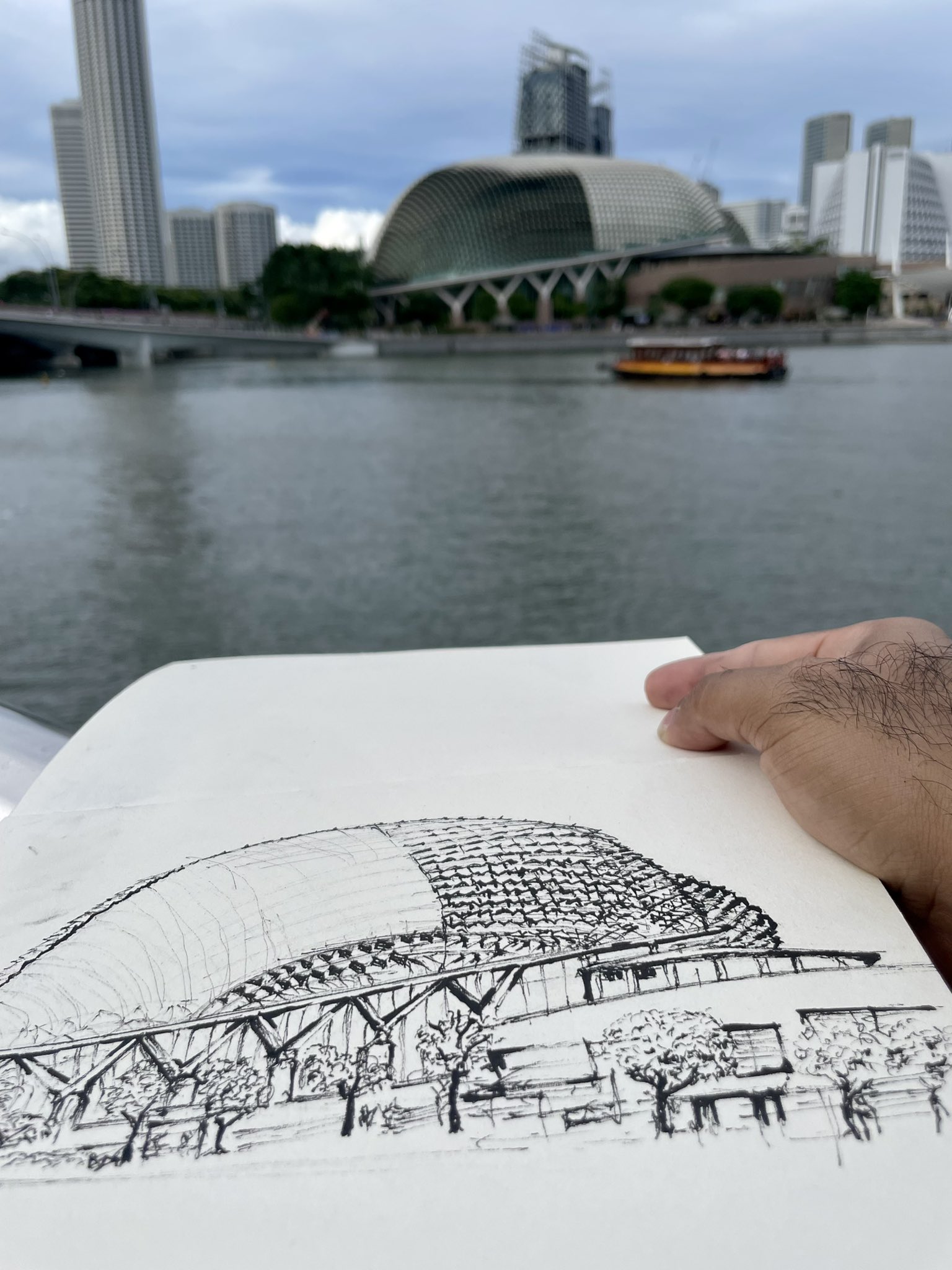Esplanade Singapore Drawings