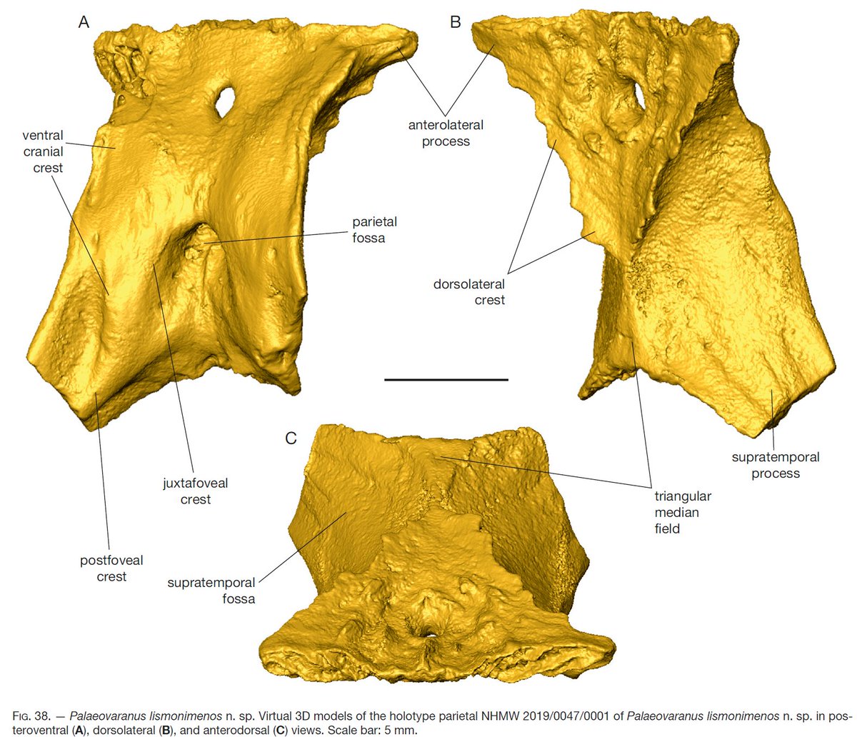 Dr. Georgios Georgalis (@DrGeorgalis) | Twitter