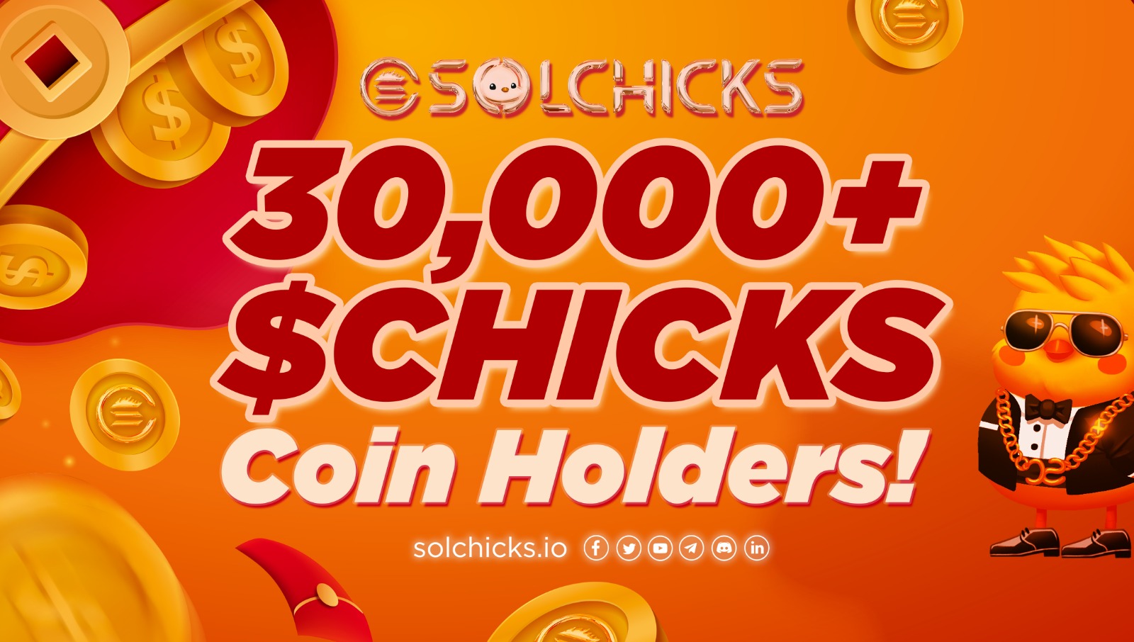 SolChicks on Twitter: "It is with great pride that we share with our #SolChicksFam that we have ...