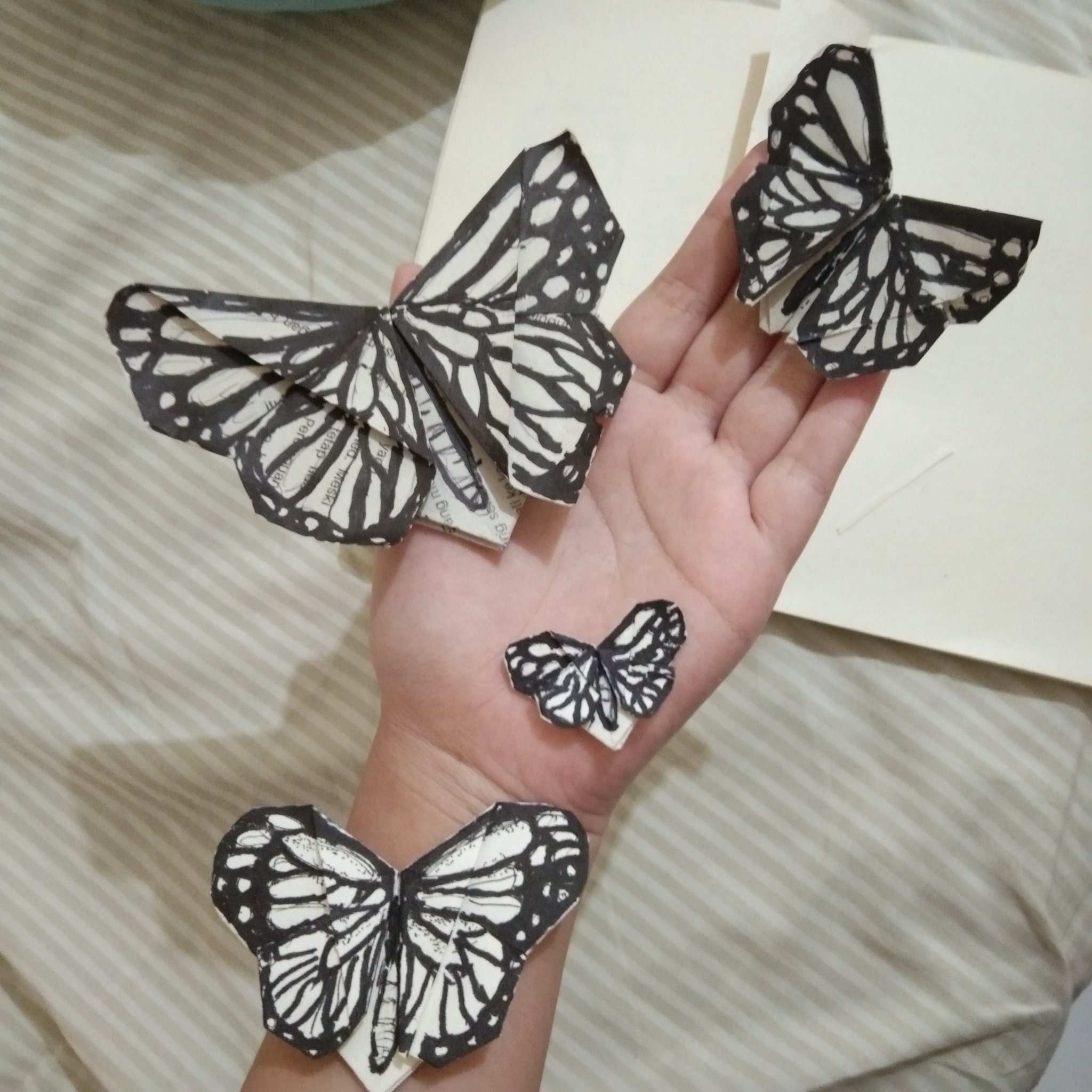 Chocolate Butterfly Pattern