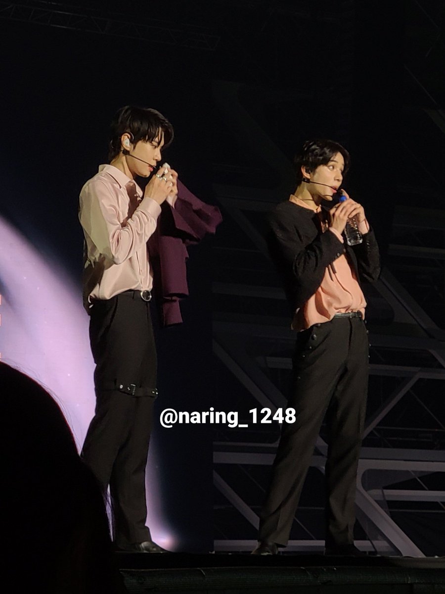 낭만곰돌 (@Romantic_gomdol) | Twitter