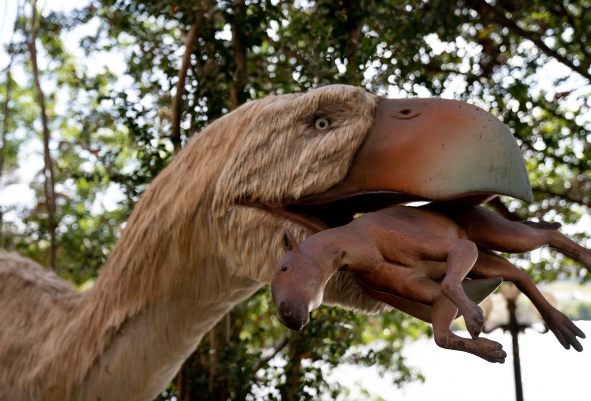 Prehistoric Predators Terror Bird