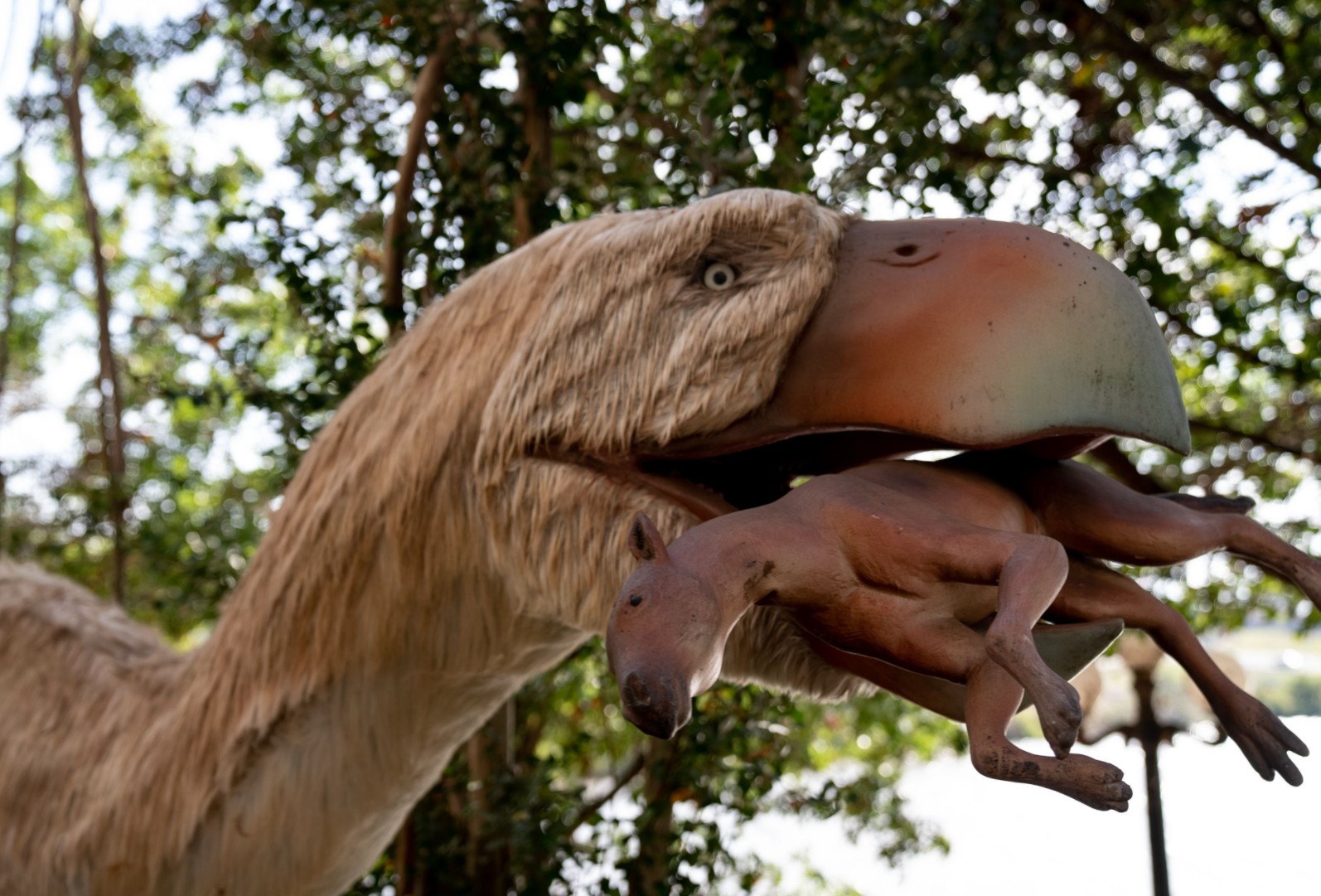 Prehistoric Park Terror Bird