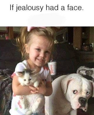 Jealousy Memes