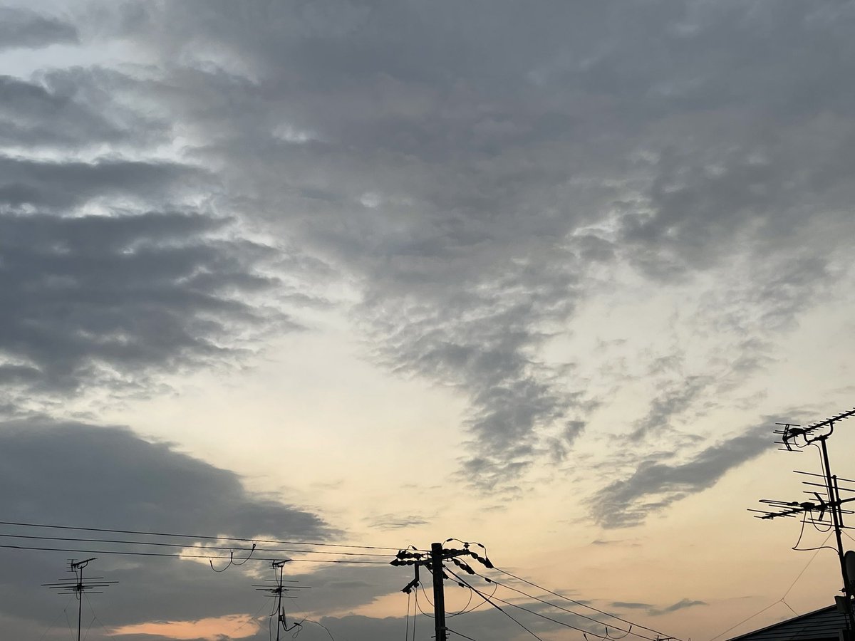 ガンモ (@ganmodoki_1) | Twitter