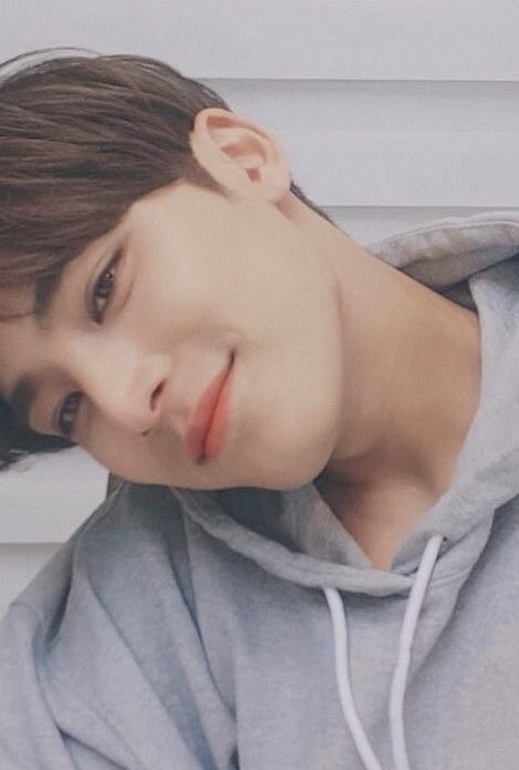 おいも (@mingyuu_oimo) | Twitter