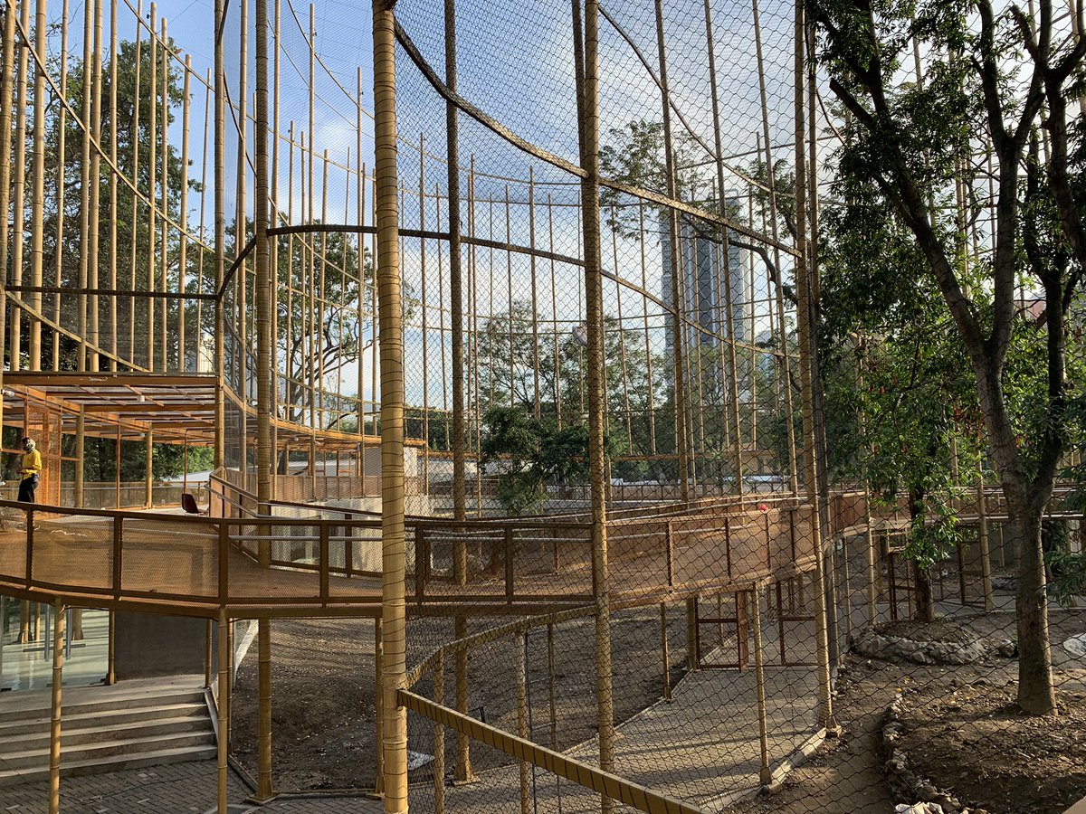 _katrinadomingo Manila Zoo’s Aviary now features an elevated walkway ...