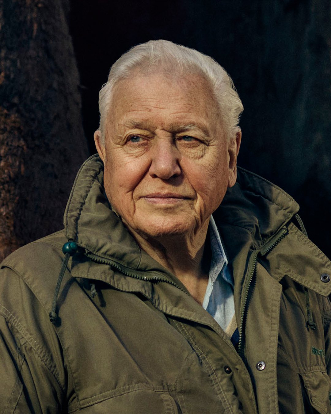 BBC on Twitter: "Welcome to the incredible world of plants, where ...