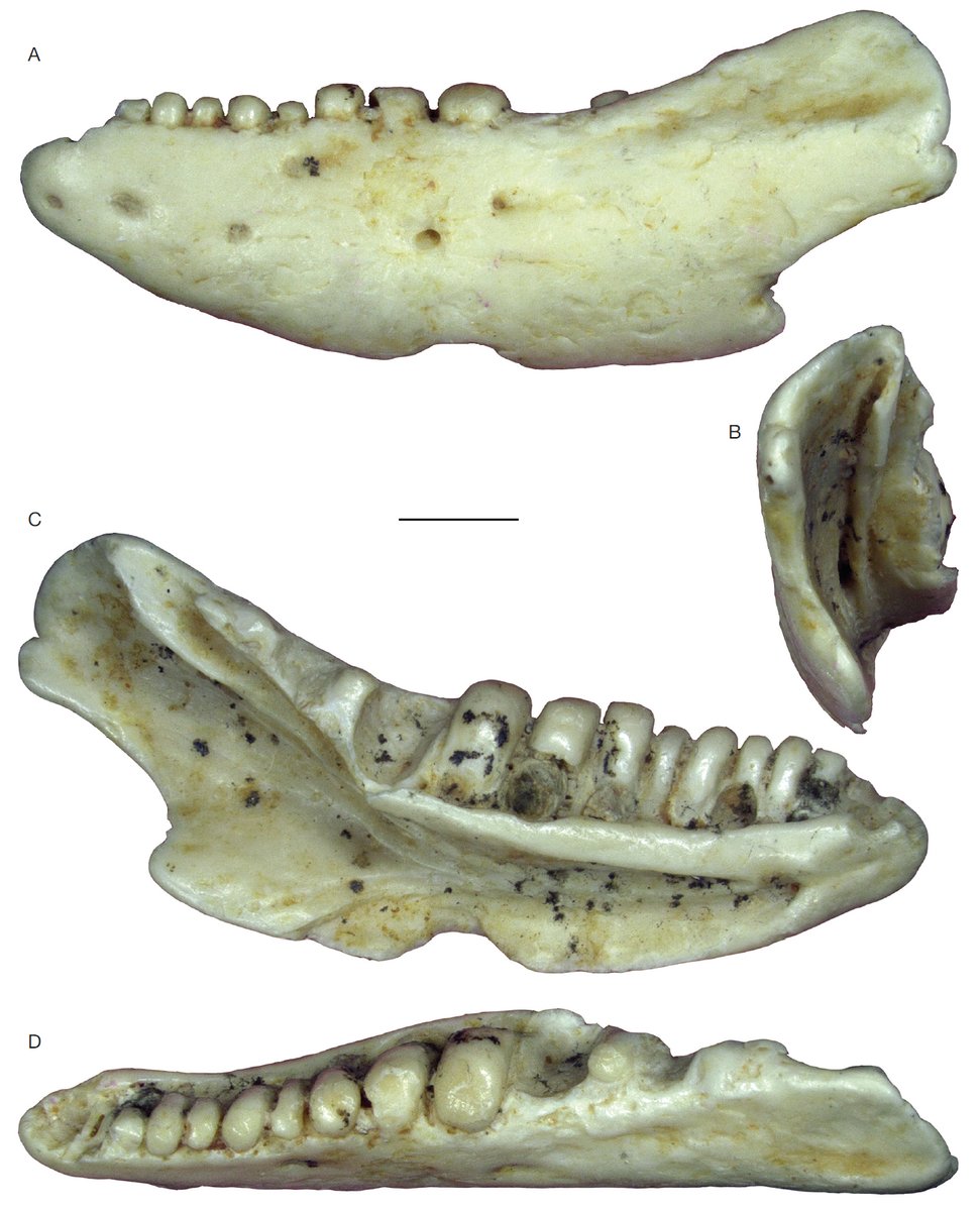 Dr. Georgios Georgalis (@DrGeorgalis) | Twitter