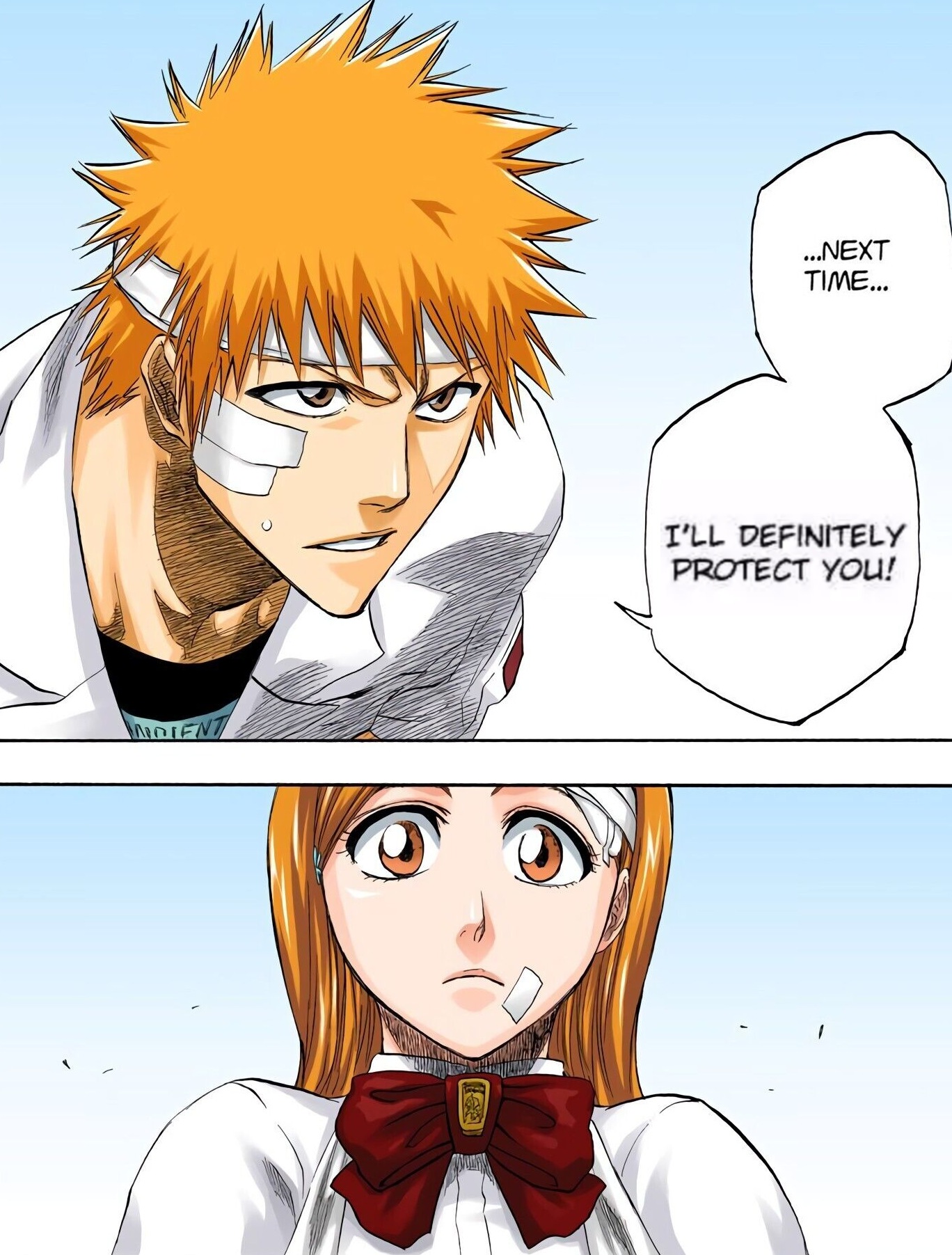 Bleach Hichigo Quotes