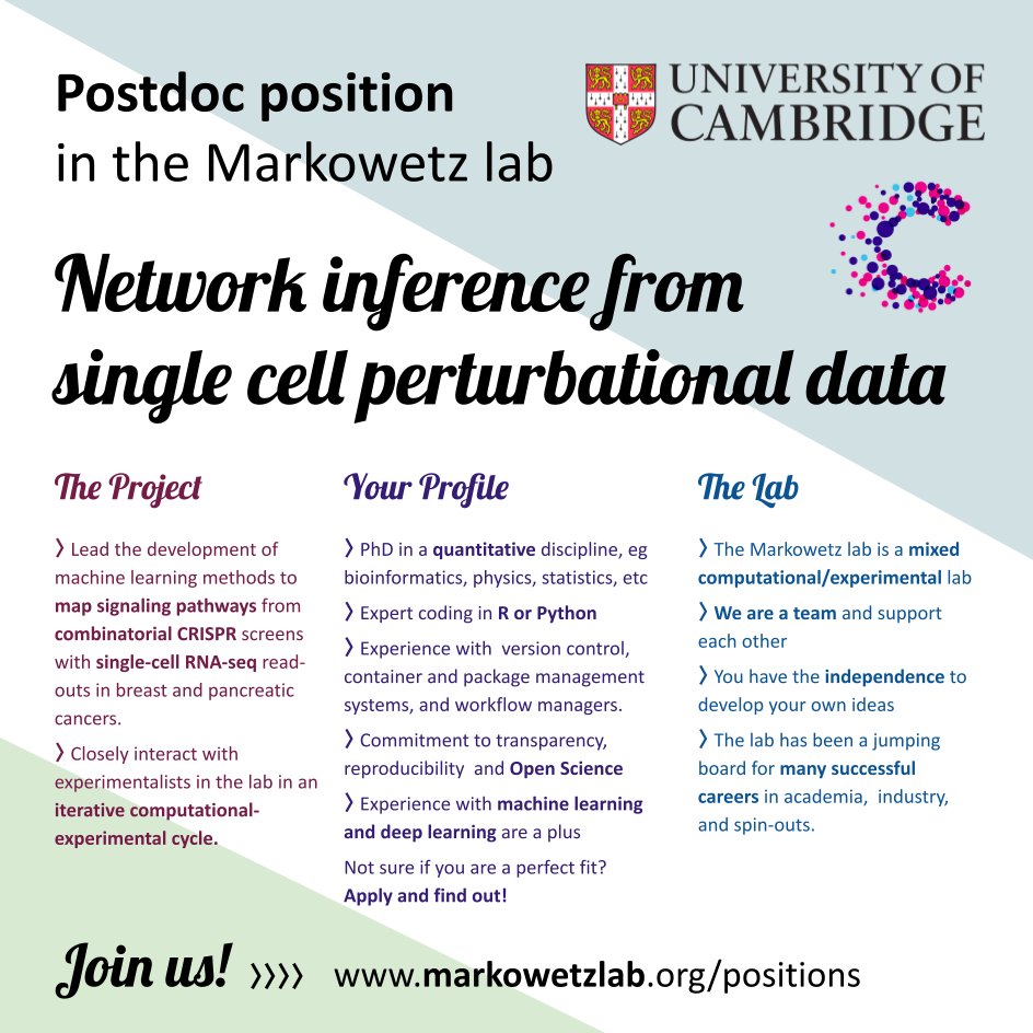 William Orchard (@williamrorchard) | Twitter