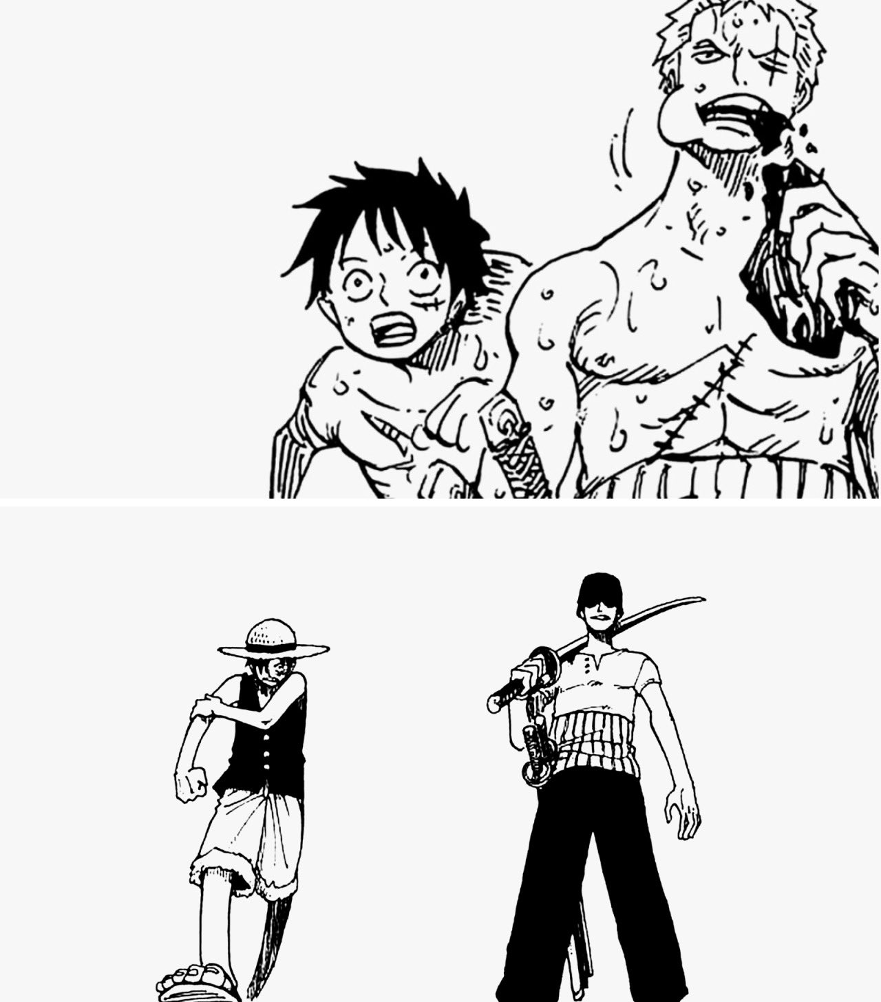 Luffy Time Skip Manga