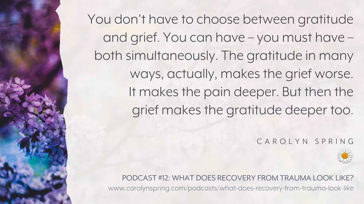 Zanity System (@ZanitySystem) | Twitter