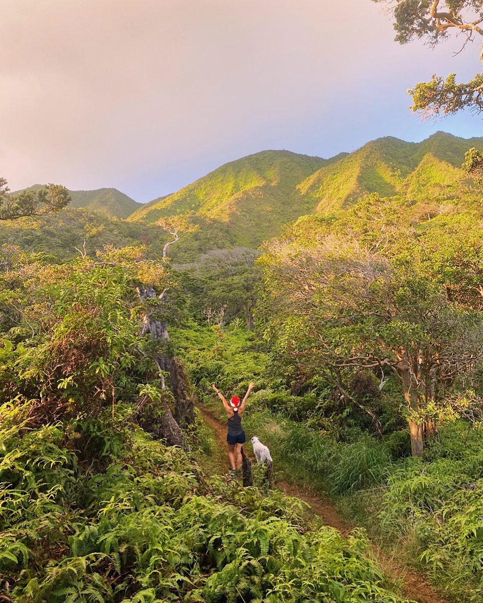 Greg Leibowitz (@leibowitz_greg) | Twitter