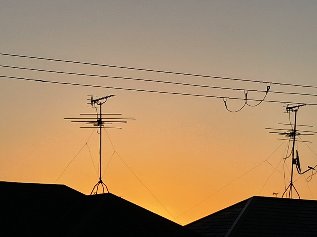 ガンモ (@ganmodoki_1) | Twitter