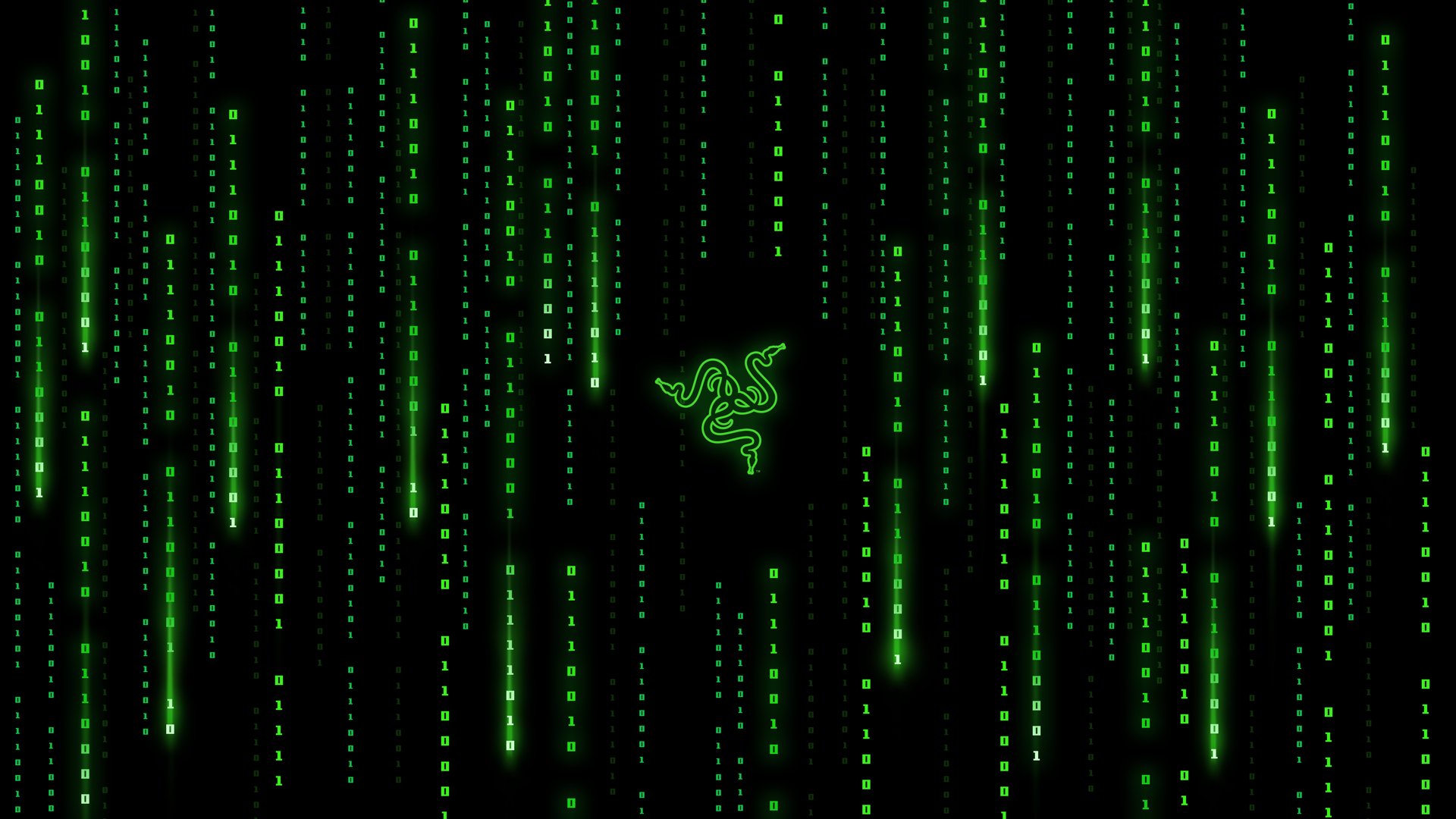 Matrix Digital Rain Wallpaper