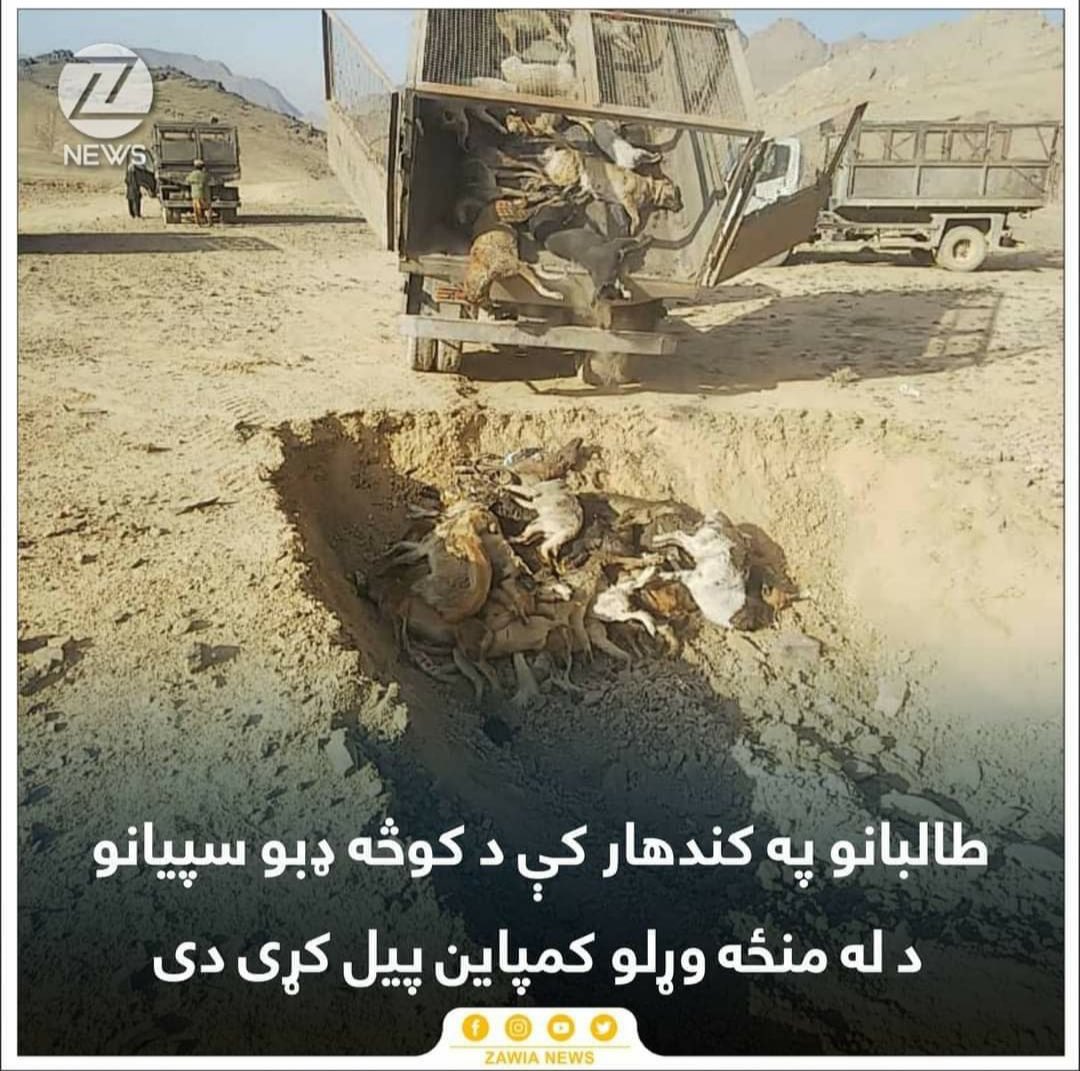 Devvrat (@Devvrat_30) | Twitter