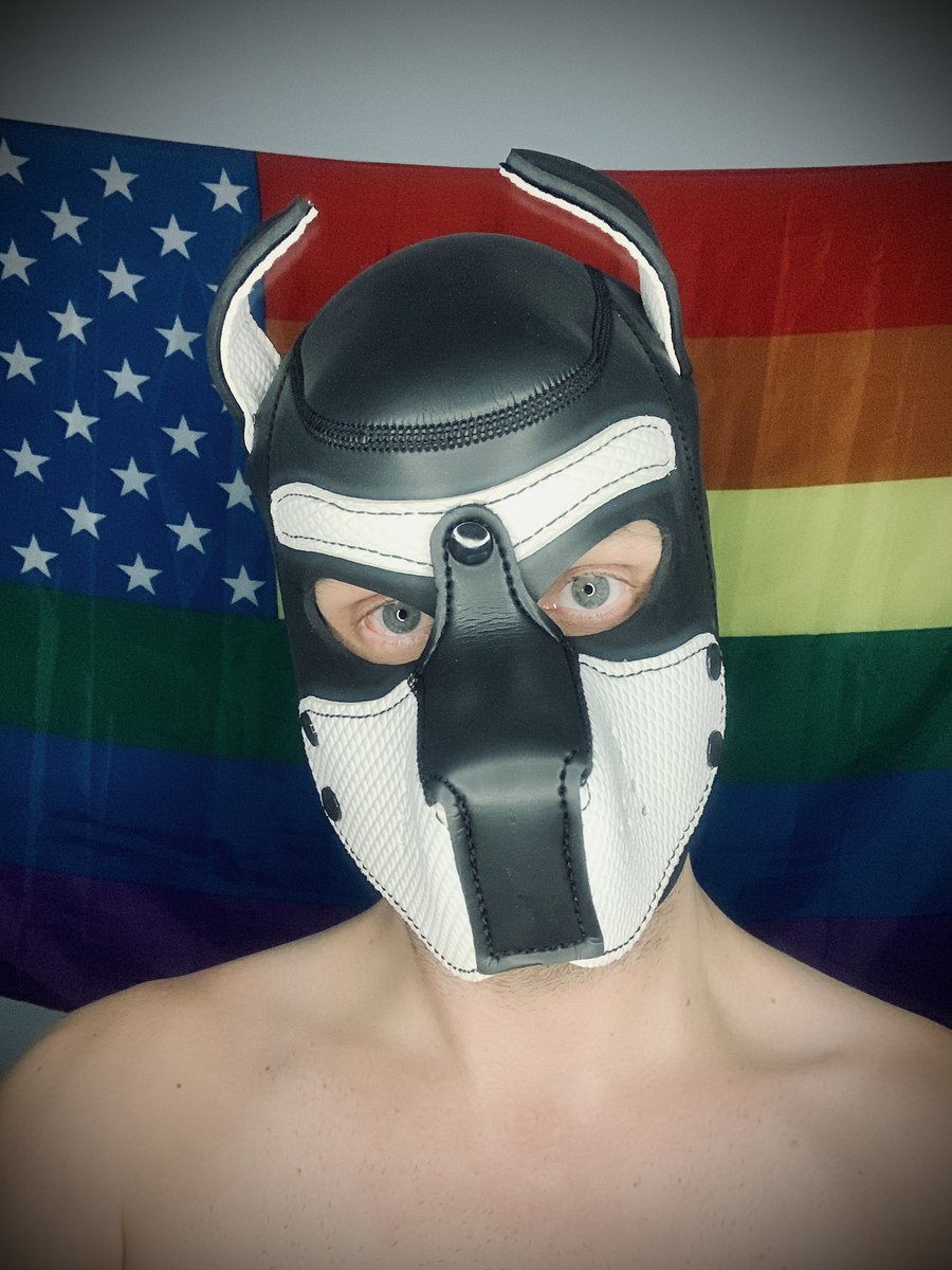 AlphaPAWs (@Alpha_PAWs) | Twitter