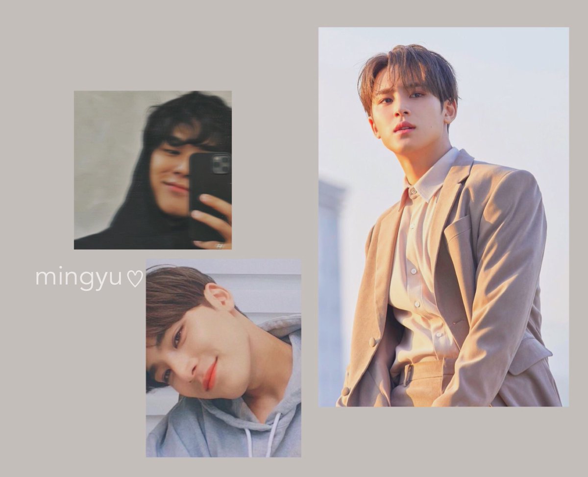 おいも (@mingyuu_oimo) | Twitter