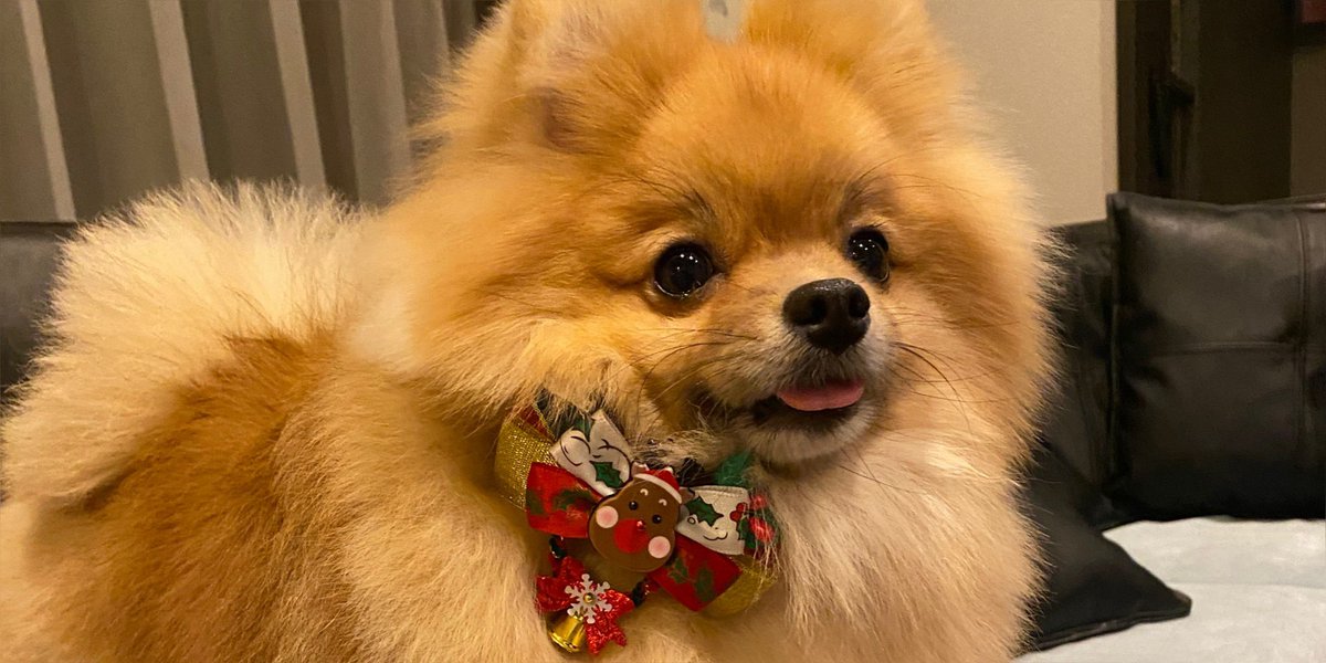 株式会社IOBI /イオビ 【公式】 (@iobi_intern) | Twitter