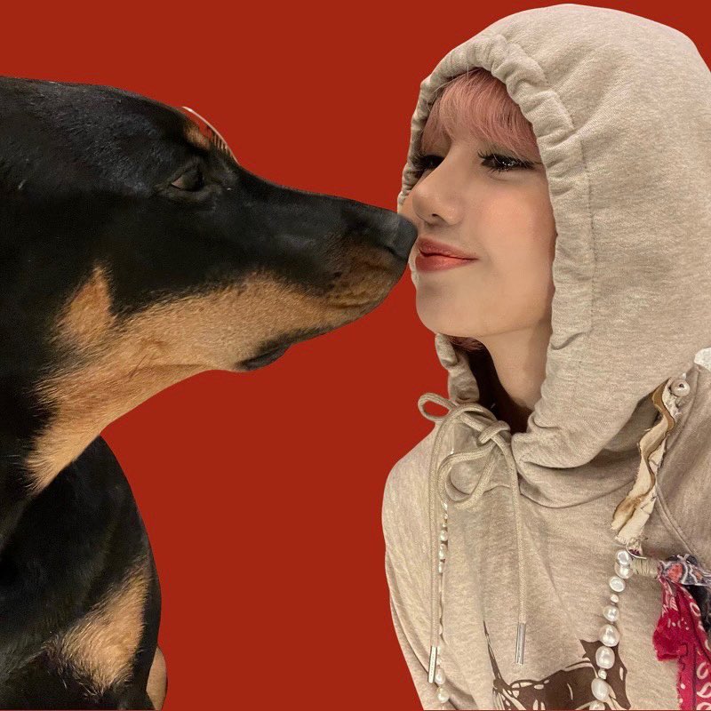 🌿 PP2P-Punsiwa 👑 (@PP2P_Punsiwa) | Twitter