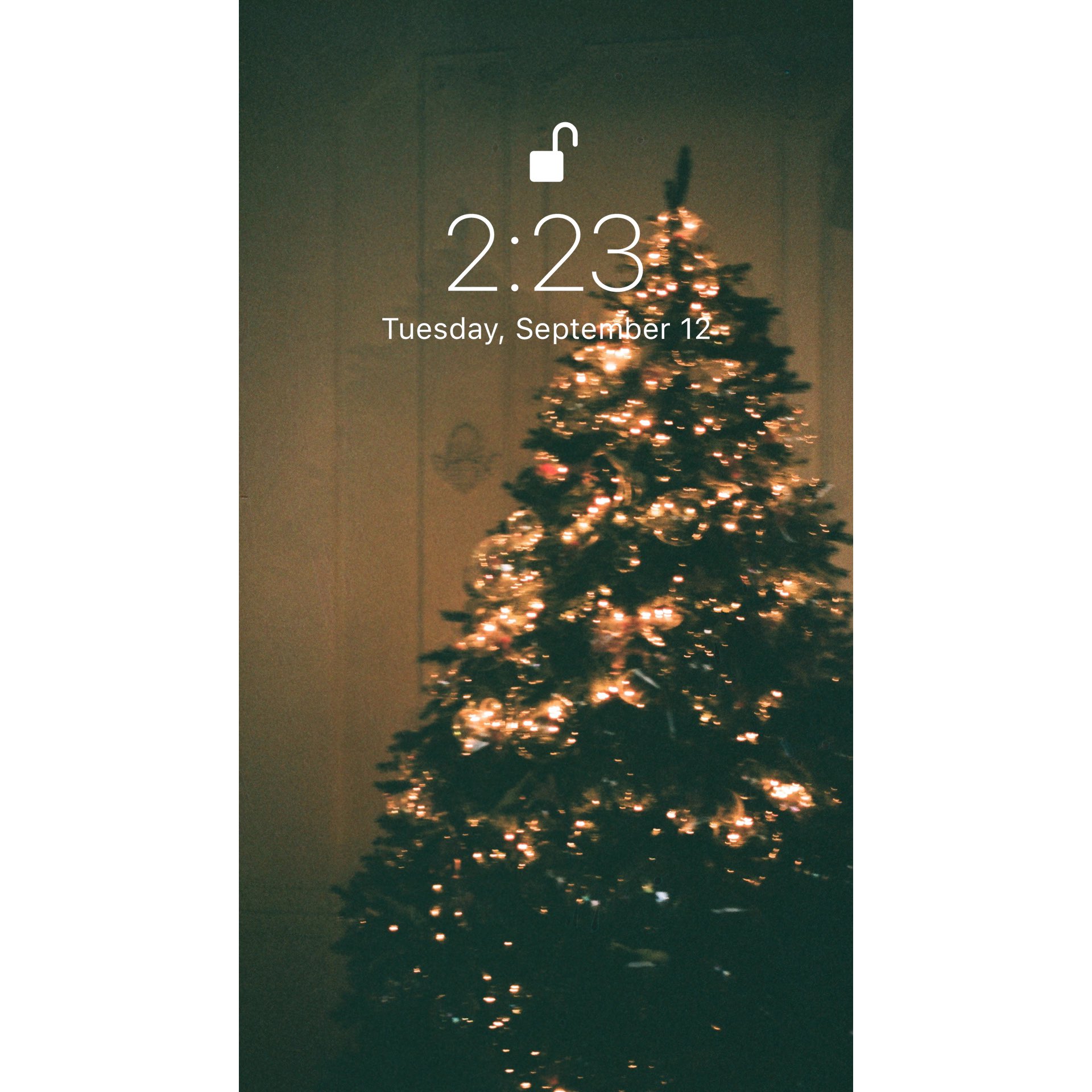 Christmas Tree Twitter Background