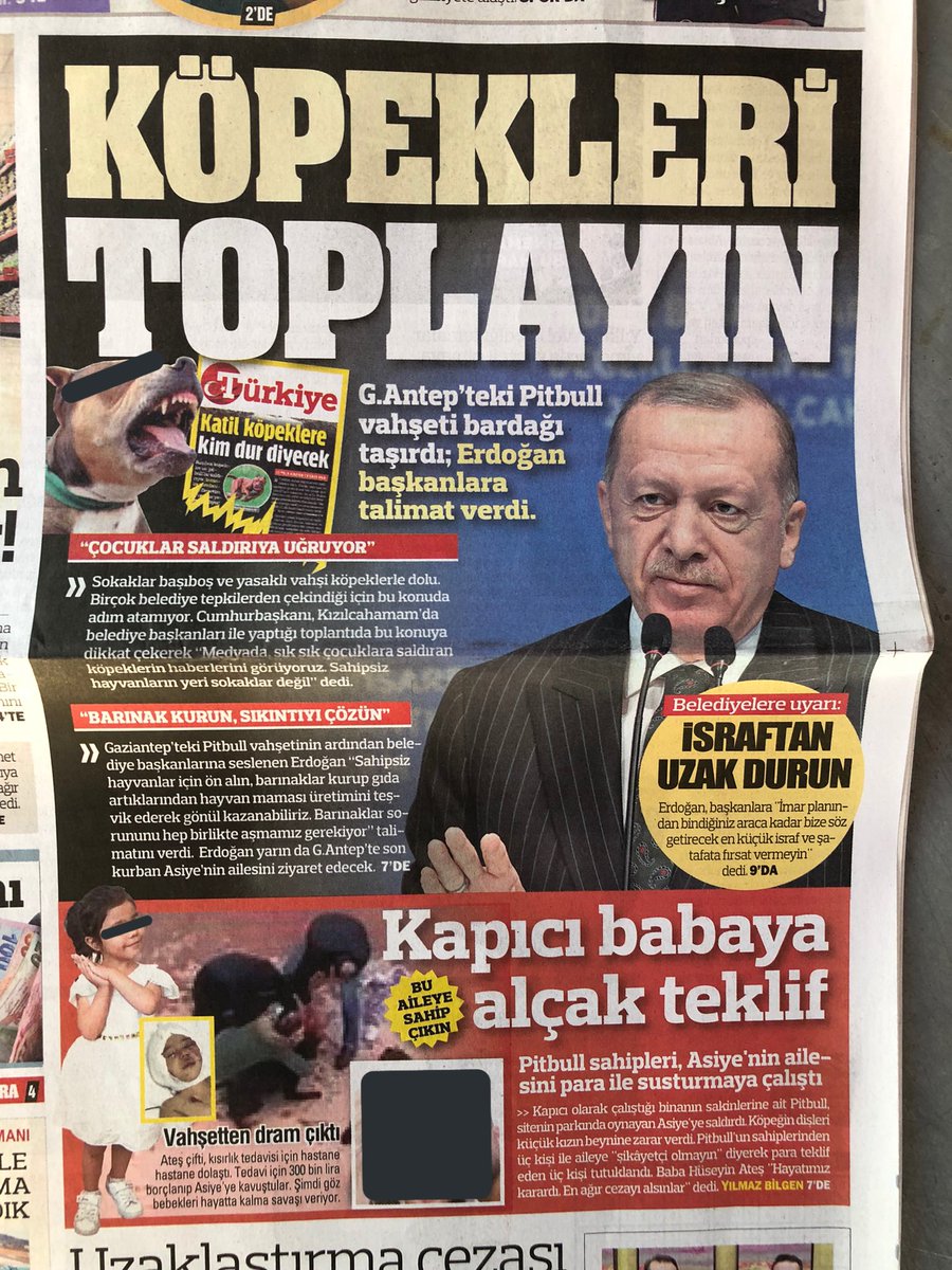 Berk Turhan (@brk_trhn) | Twitter