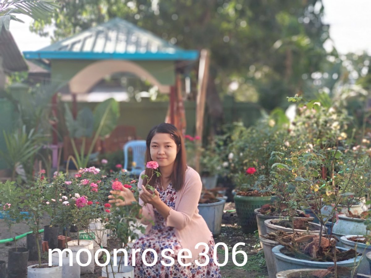 SAI SOE MOE (@SAISOEMOE8) | Twitter