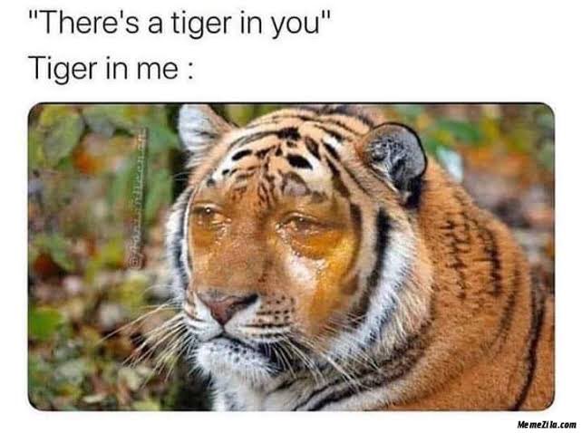 S@EnG 💙🎸 🐣 ⭕ (@Hamaijialamang) | Twitter