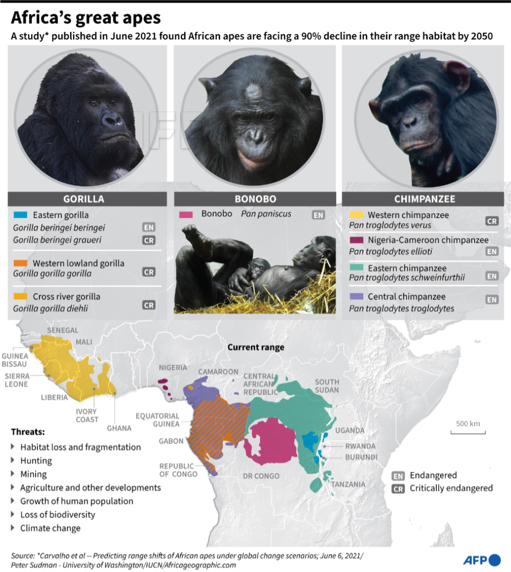 Western Lowland Gorilla Habitat Map