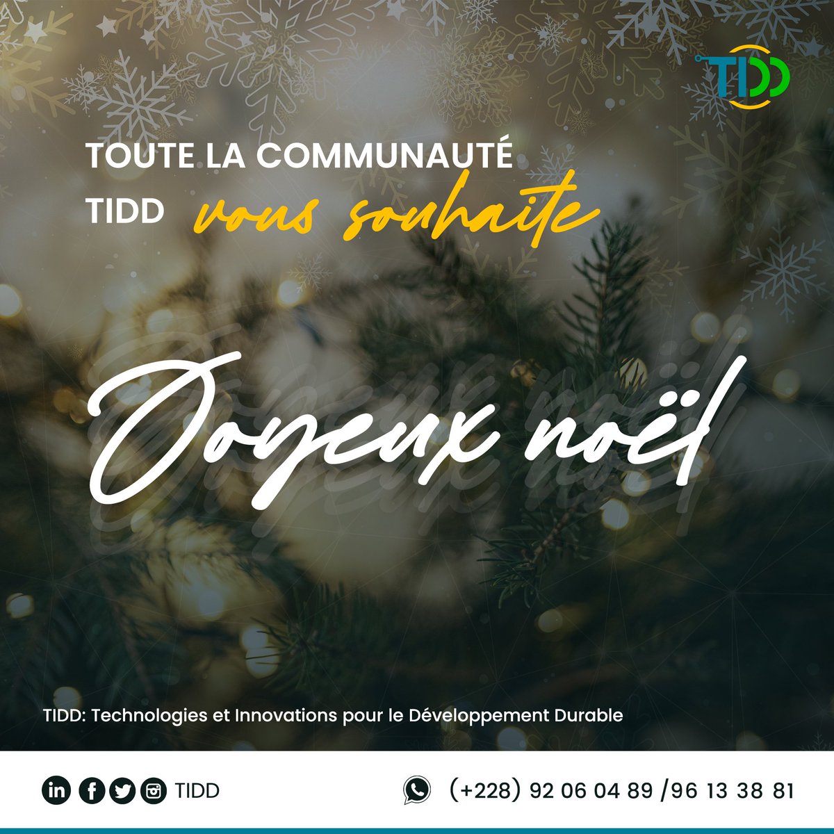 Dammipi BONSA (@dammipi) | Twitter