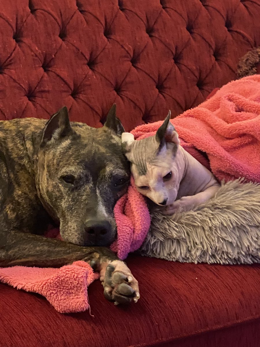 Berk Turhan (@brk_trhn) | Twitter