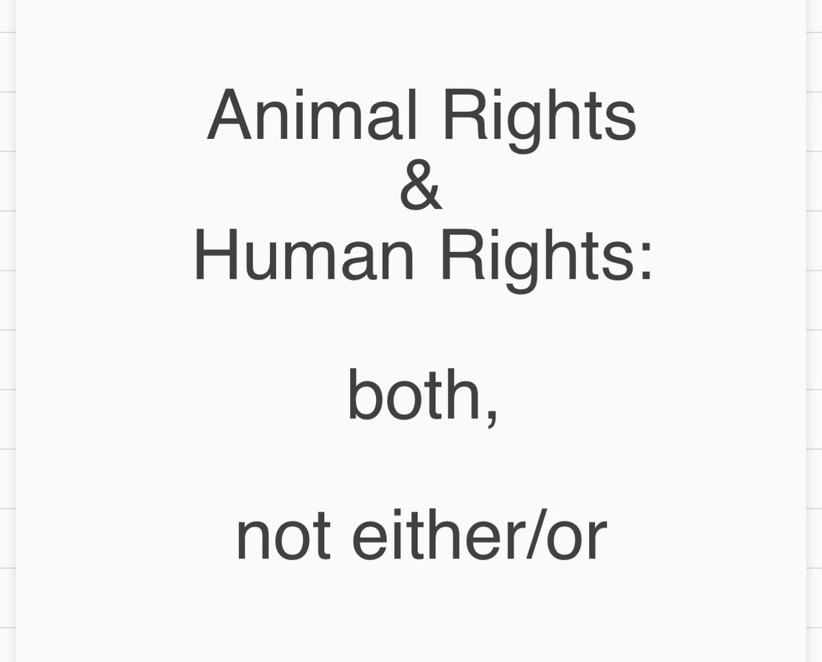Animal Justice Foundation AnimalJusticeF1 Twitter animal-justice-foundation-animaljusticef1-twitter