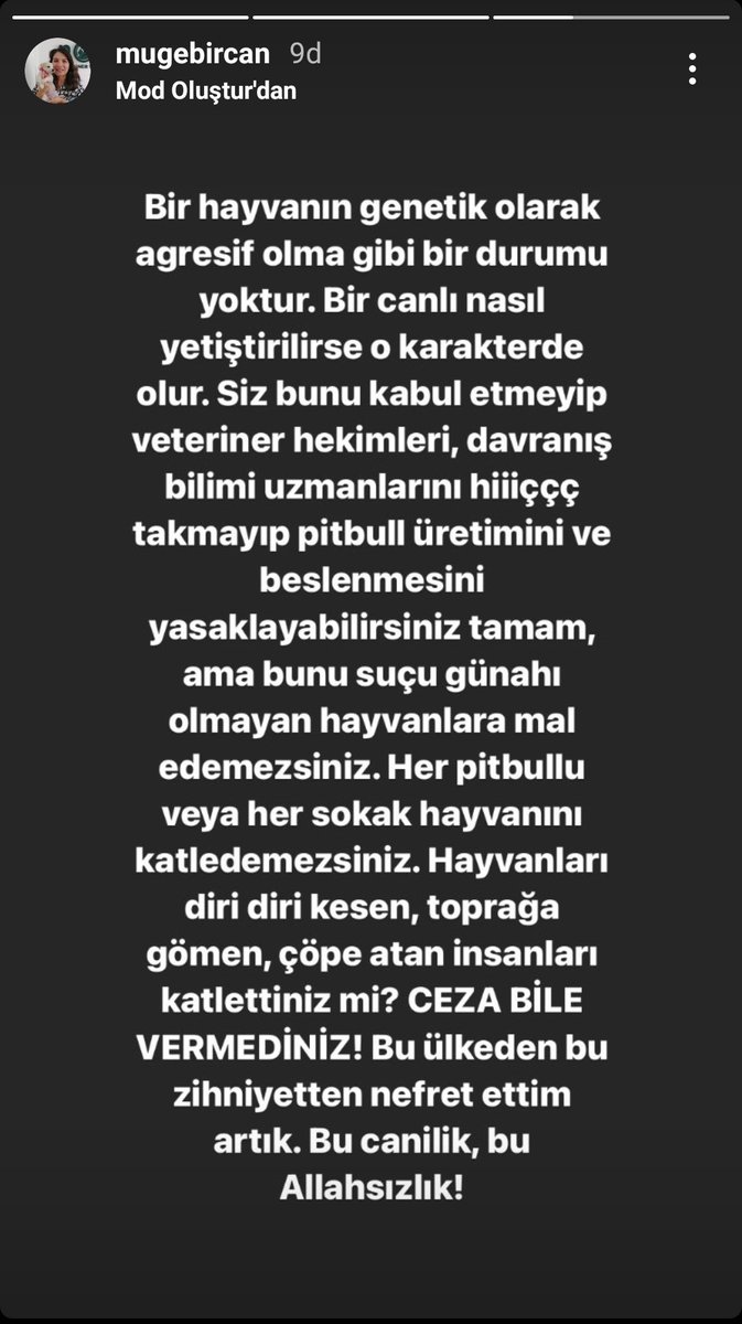 Berk Turhan (@brk_trhn) | Twitter