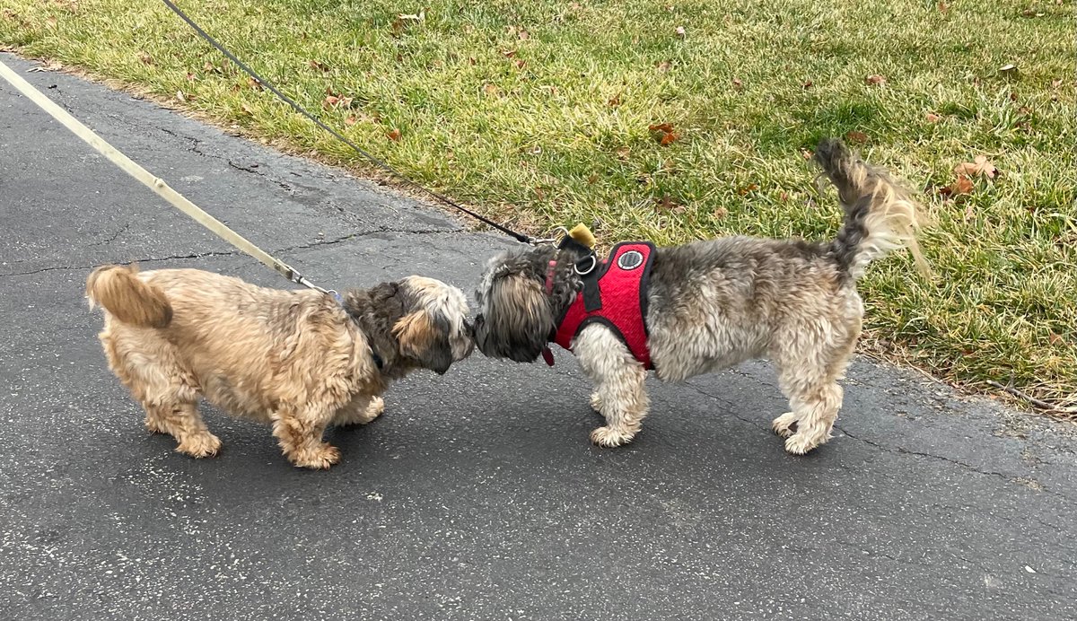 Thread by @christapeterso on Thread Reader App – Thread Reader App