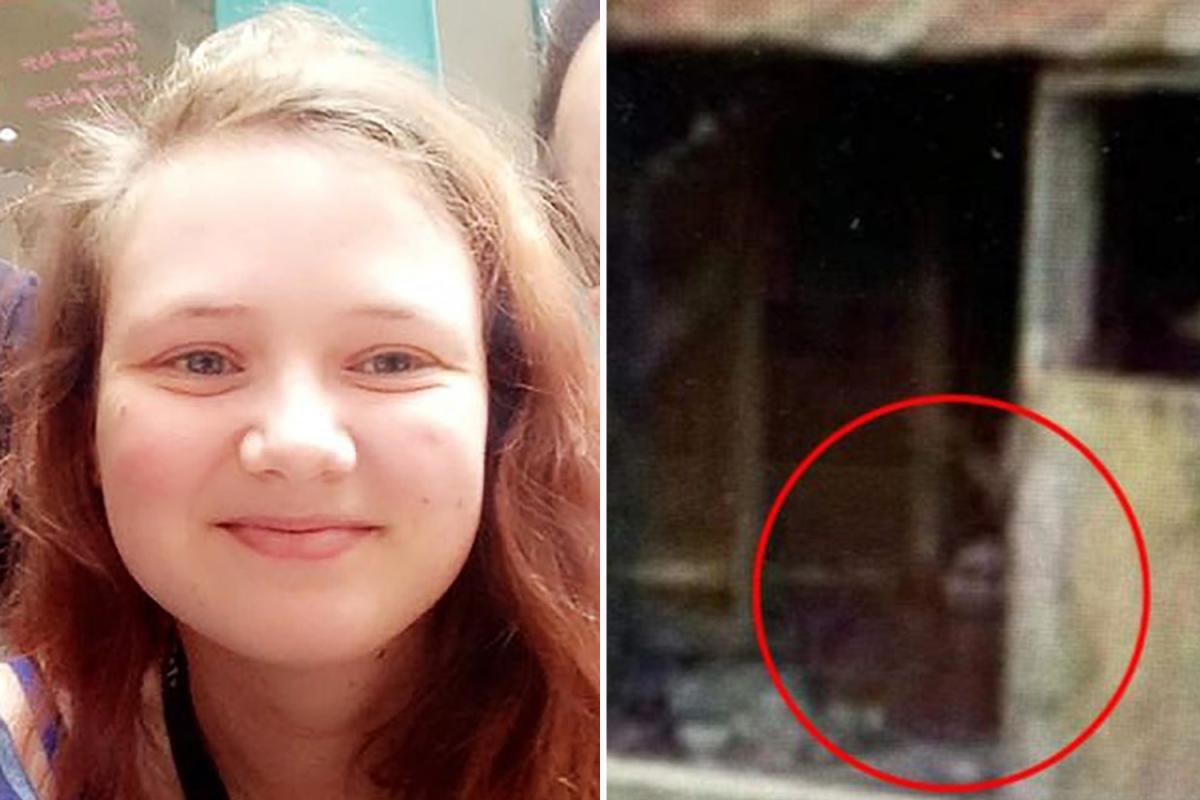 Creepy Things Hidden In Pictures