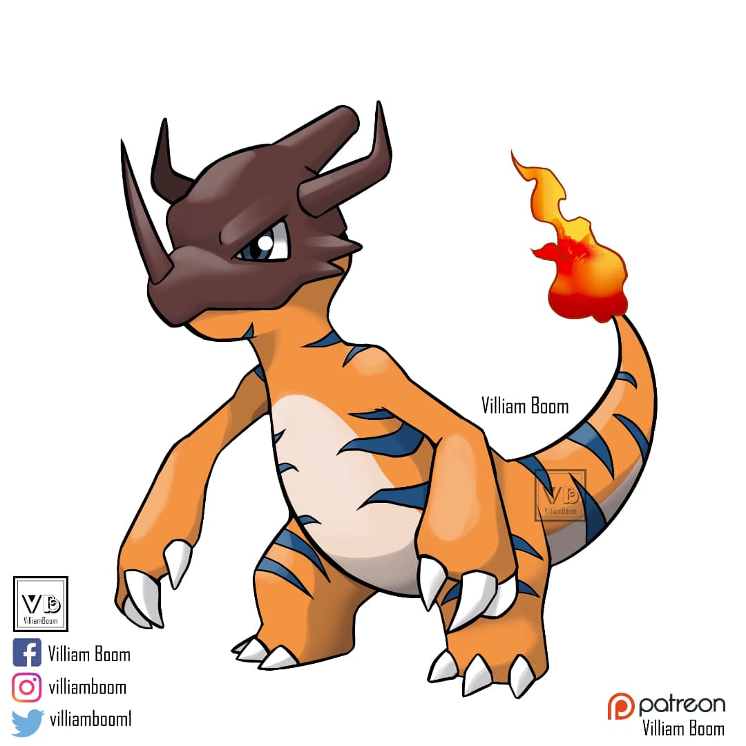 Charizard Evolution Line