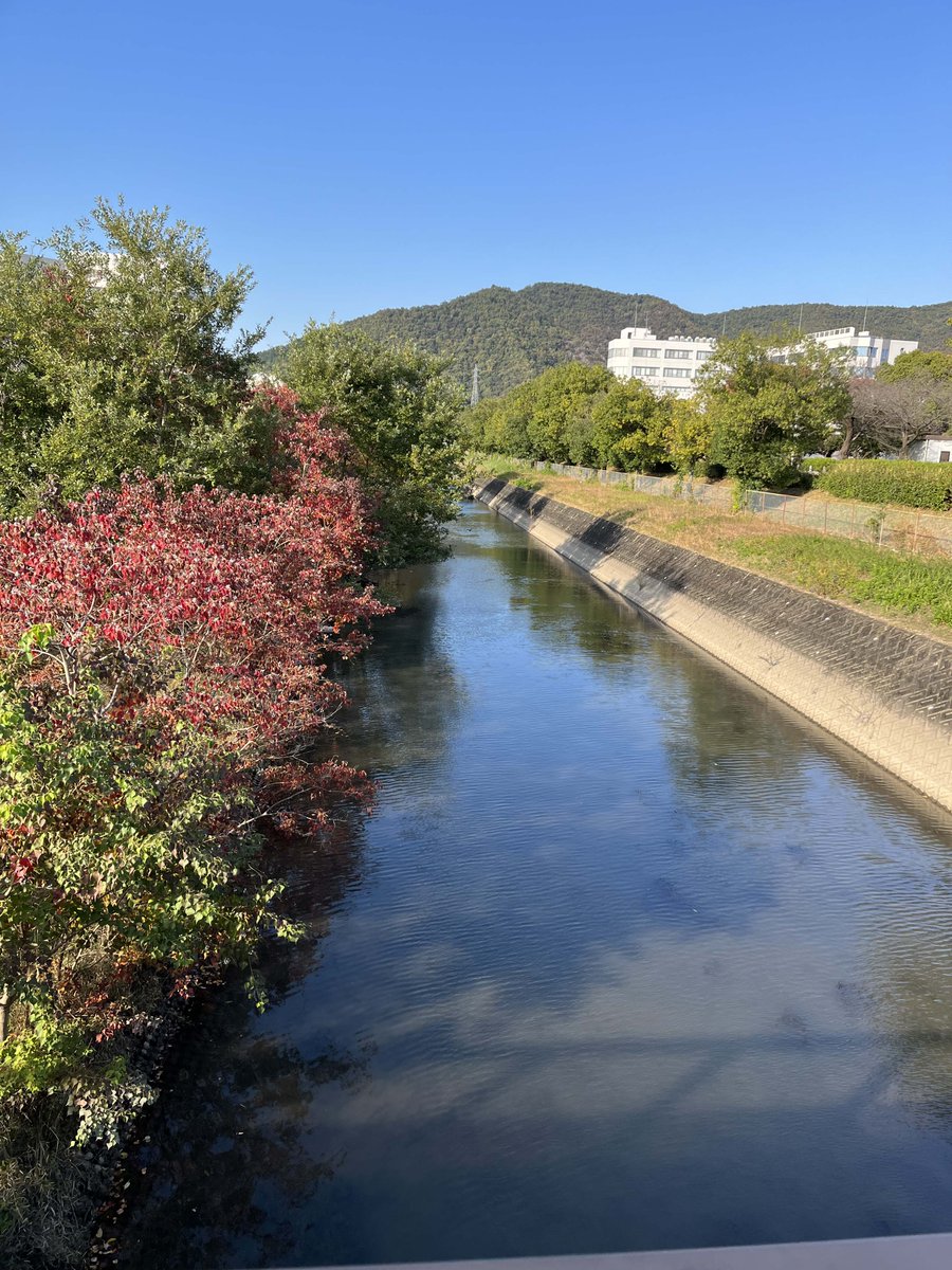 Hiroki Ando 安藤 弘樹(@Ando169) - Twilog (ツイログ)