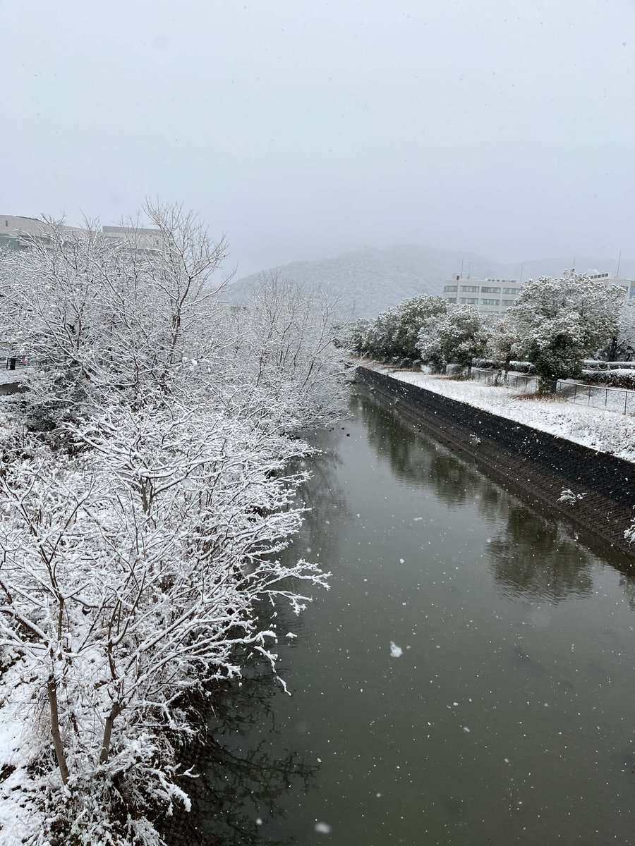 Hiroki Ando 安藤 弘樹(@Ando169) - Twilog (ツイログ)