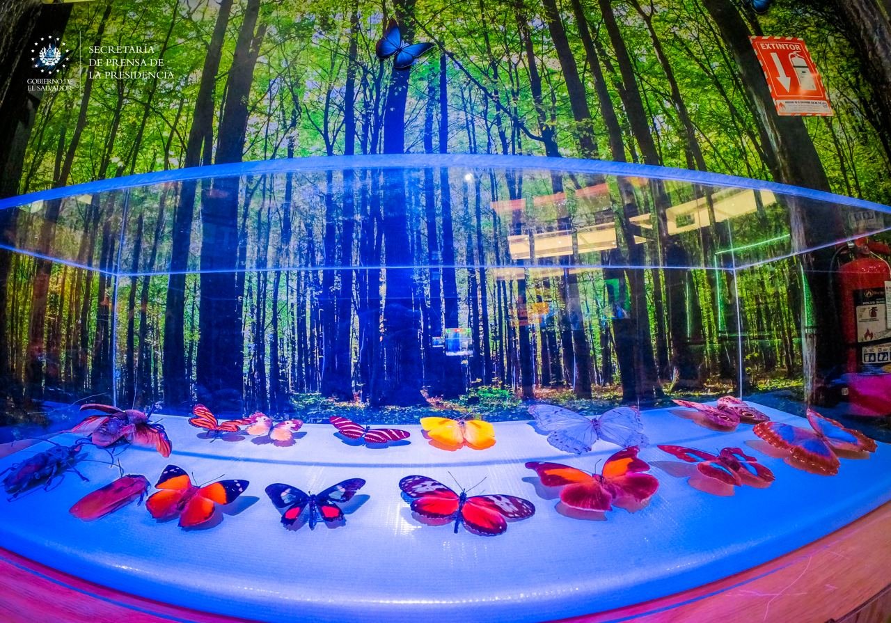 FOTOS: Así luce el renovado parque de aventuras Walter Thilo Deininger ...