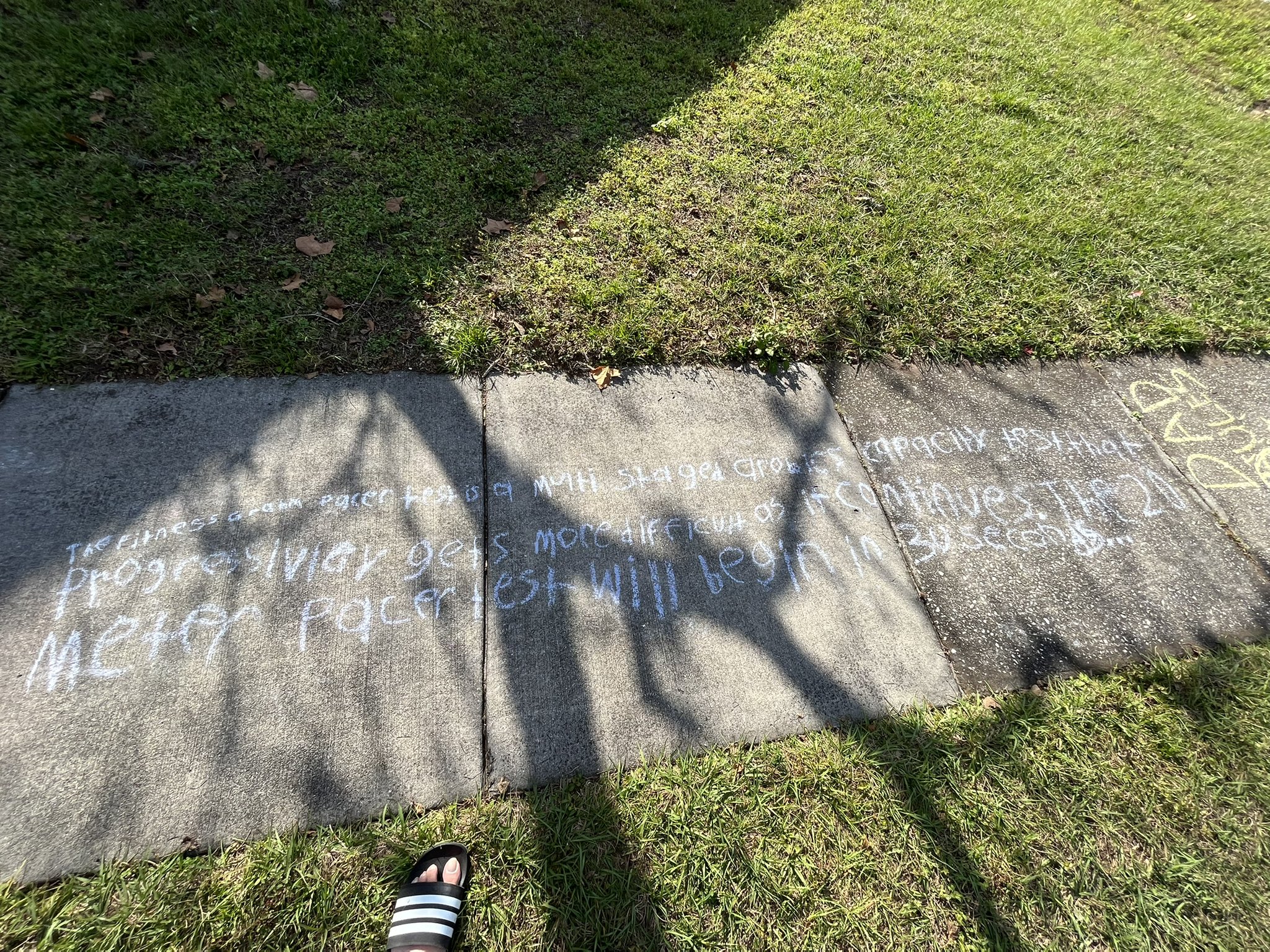 TW Pornstars - Dsan🔞. Twitter. The FitnessGram™ Pacer Test is a ...