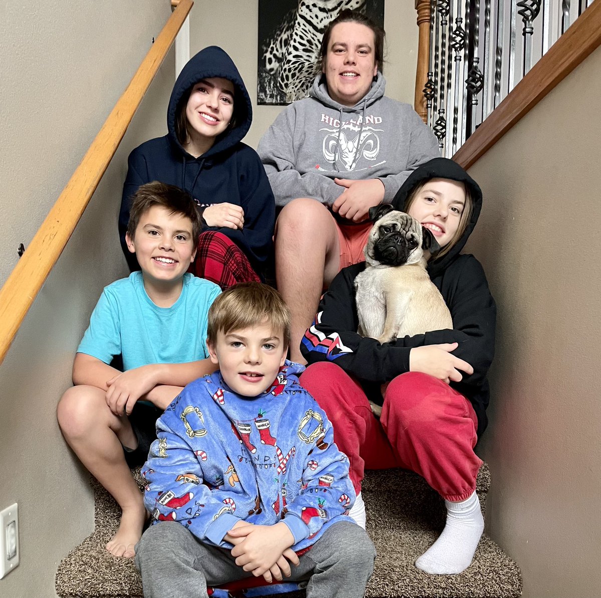 Shaytards 2022 Cartoons