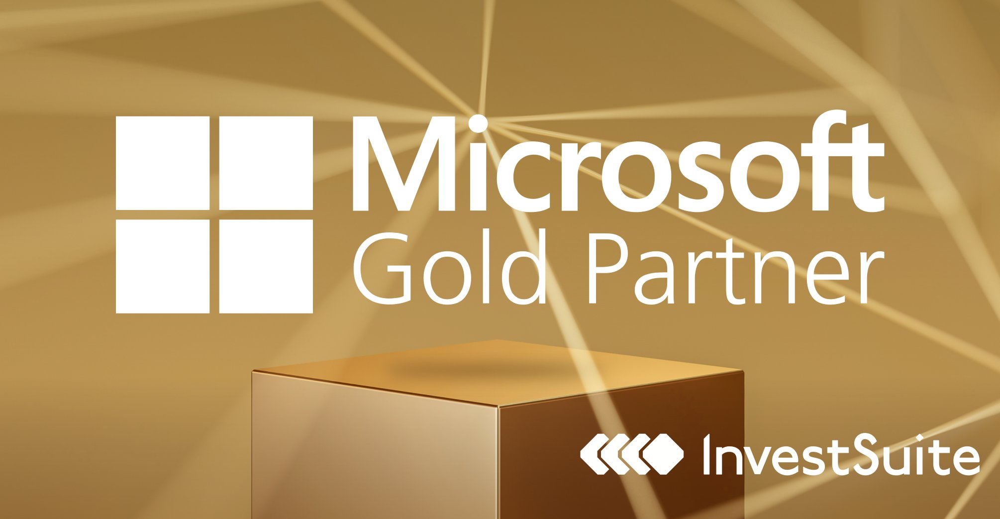 Microsoft Partner Logo Vector