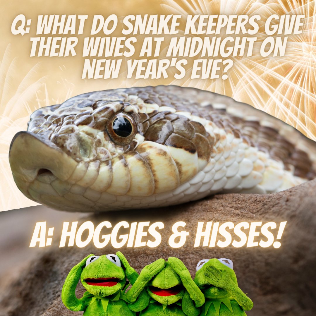 Snakes In Grass Quotes #4: A Snake In The Grass
