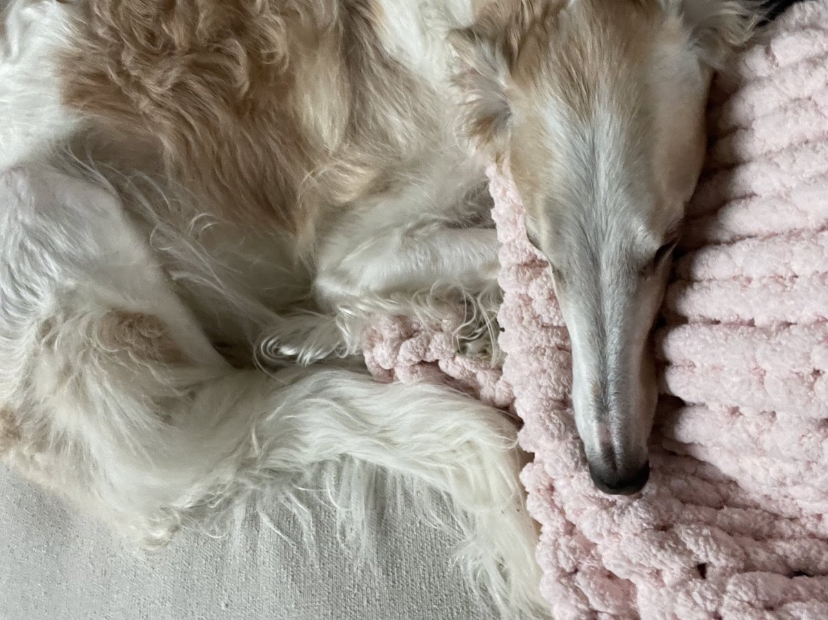 「😭😭😭😭 」|🦴🦈 mako sameshima !のイラスト