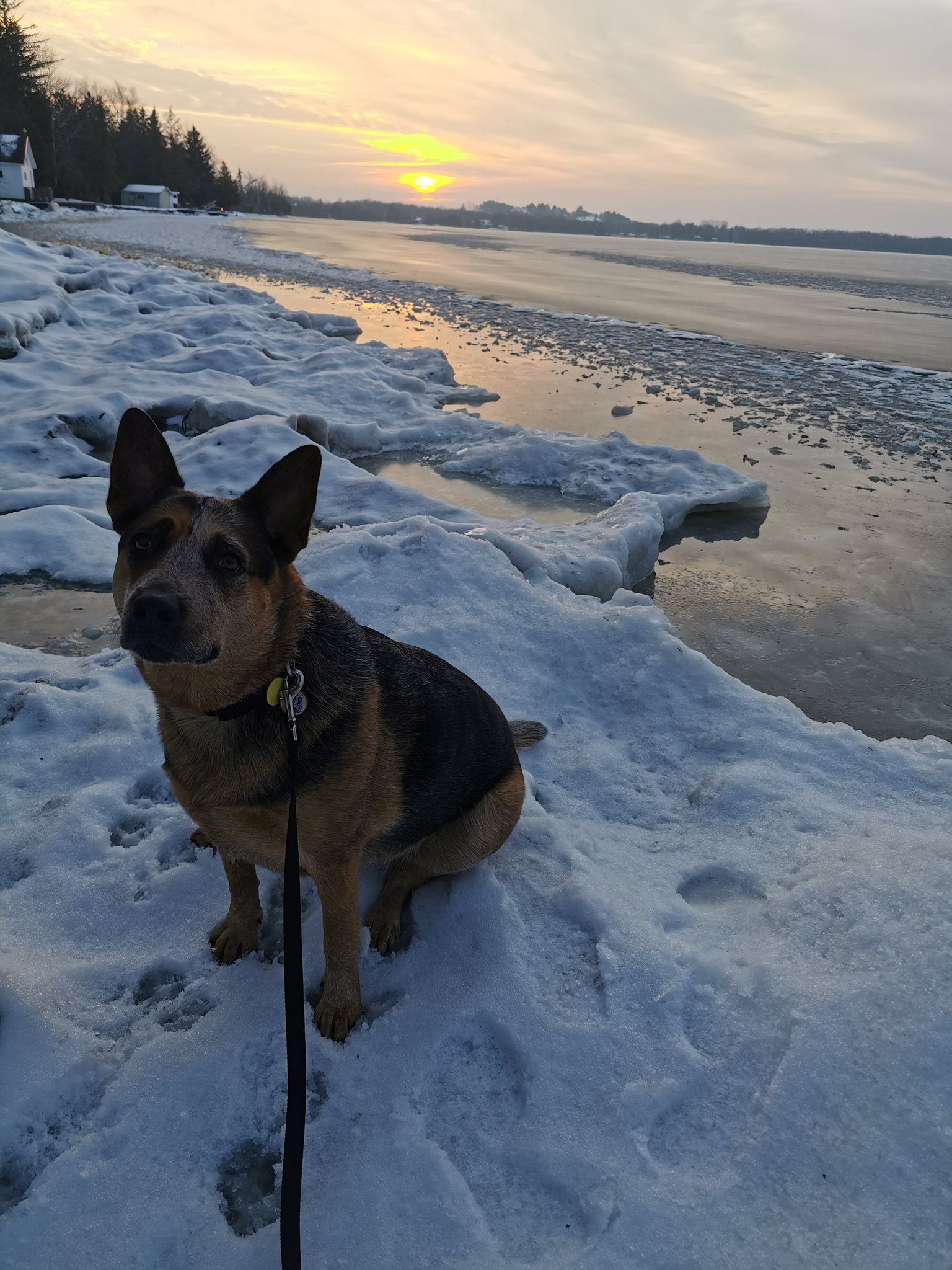 TW Pornstars - Charlie Cruise. Twitter. My sweet girl turned 3 this ...