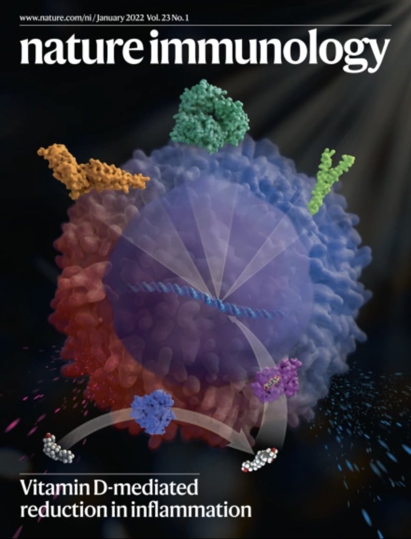 Daniel Chauss (@dchauss) | Twitter