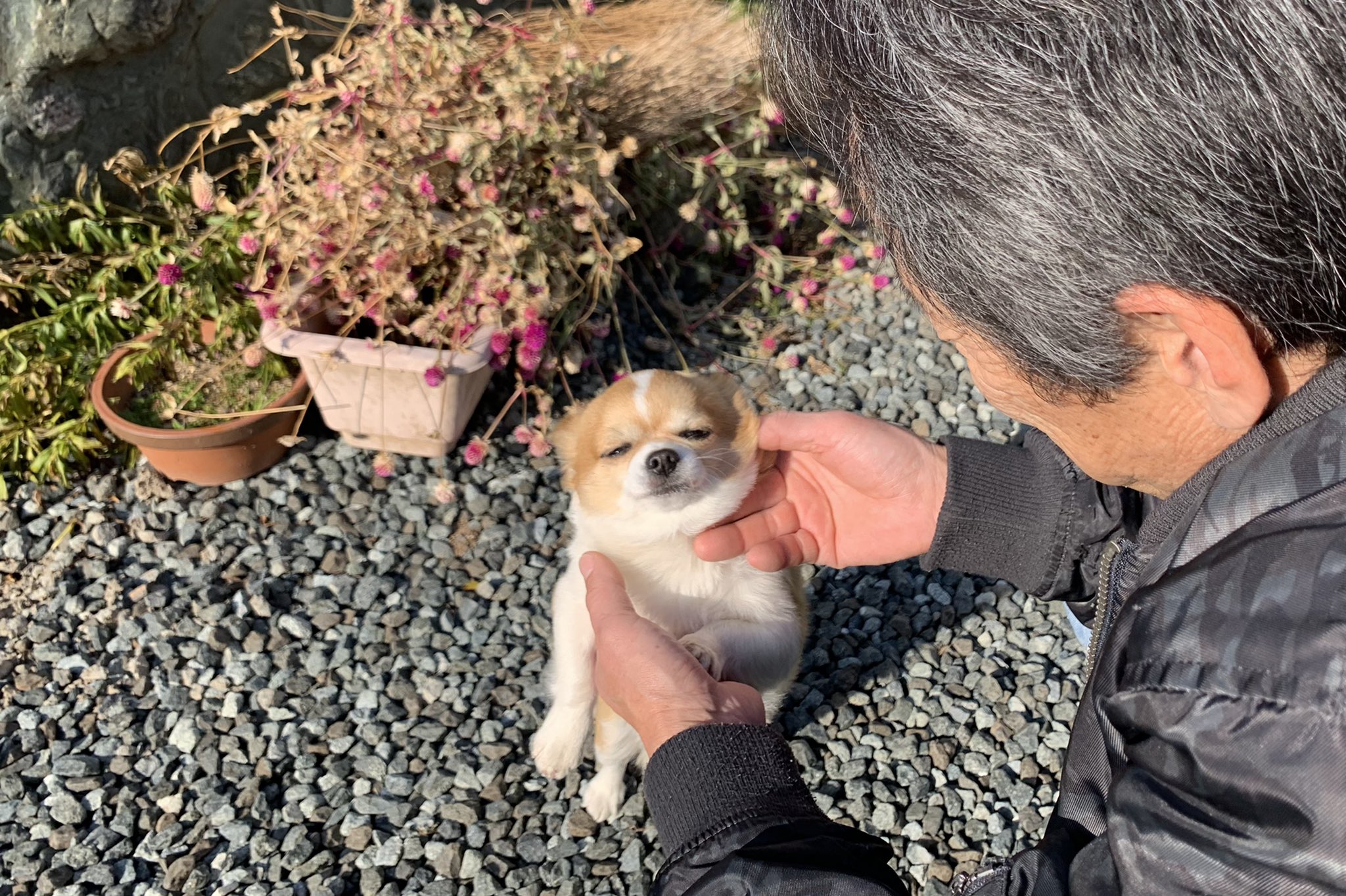 (32) on Twitter: "https://t.co/eWOGPLRJ3H" / Twitter