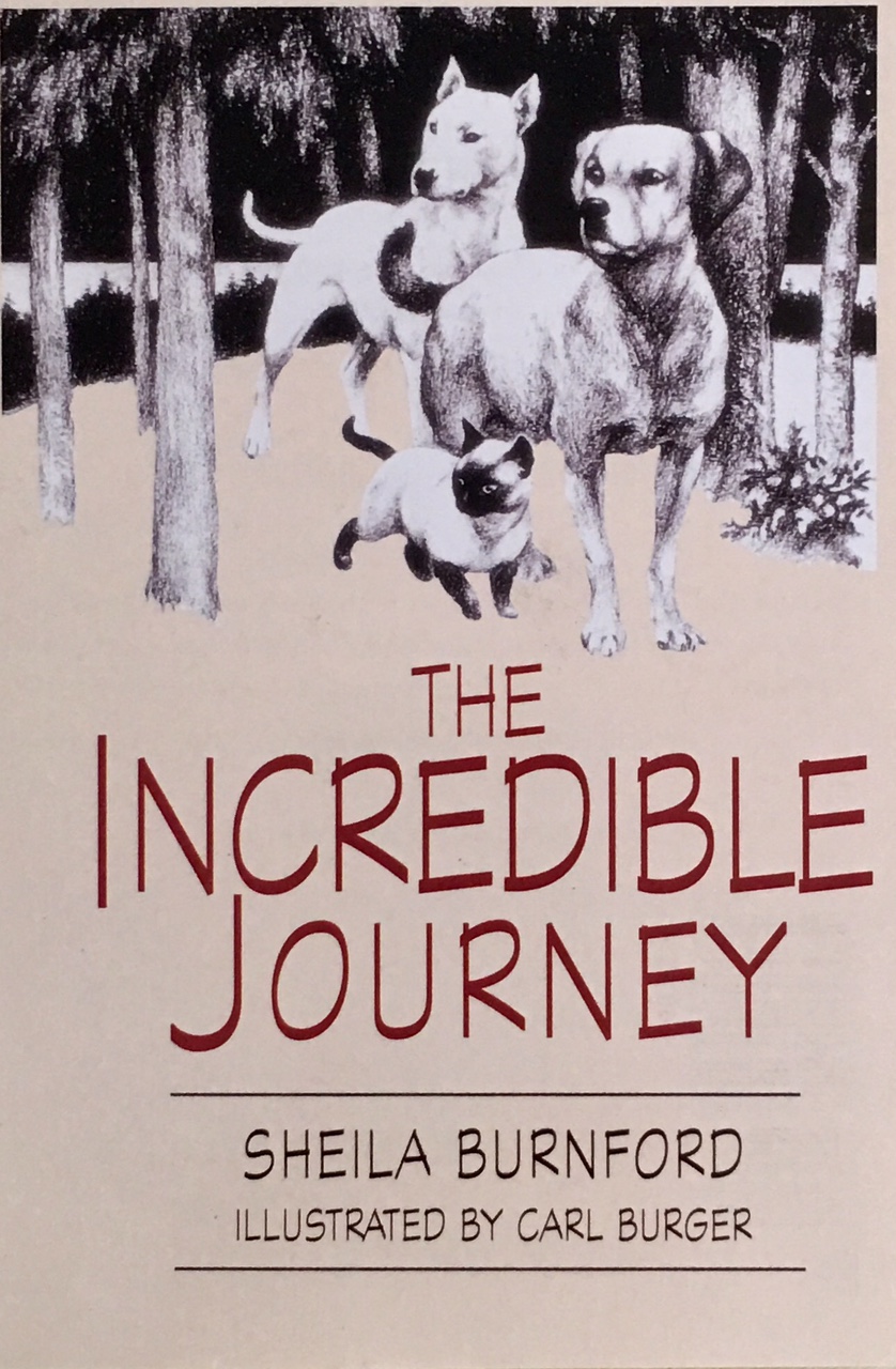READ PDF Book The Incredible Journey Writen By Sheila Burnford On The ...